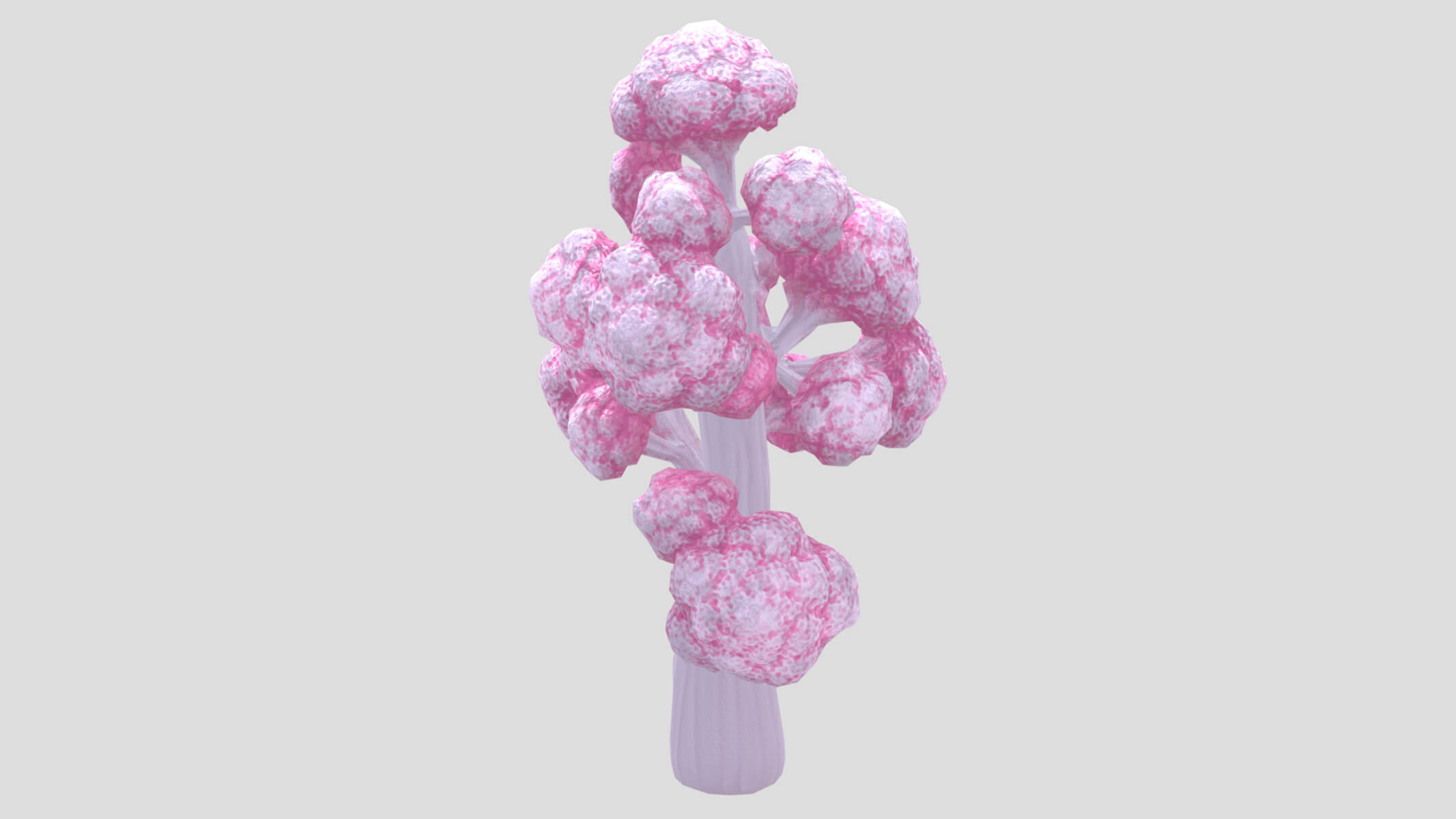 Dendronephthya Coral Low Poly - 3D Model by frezzy