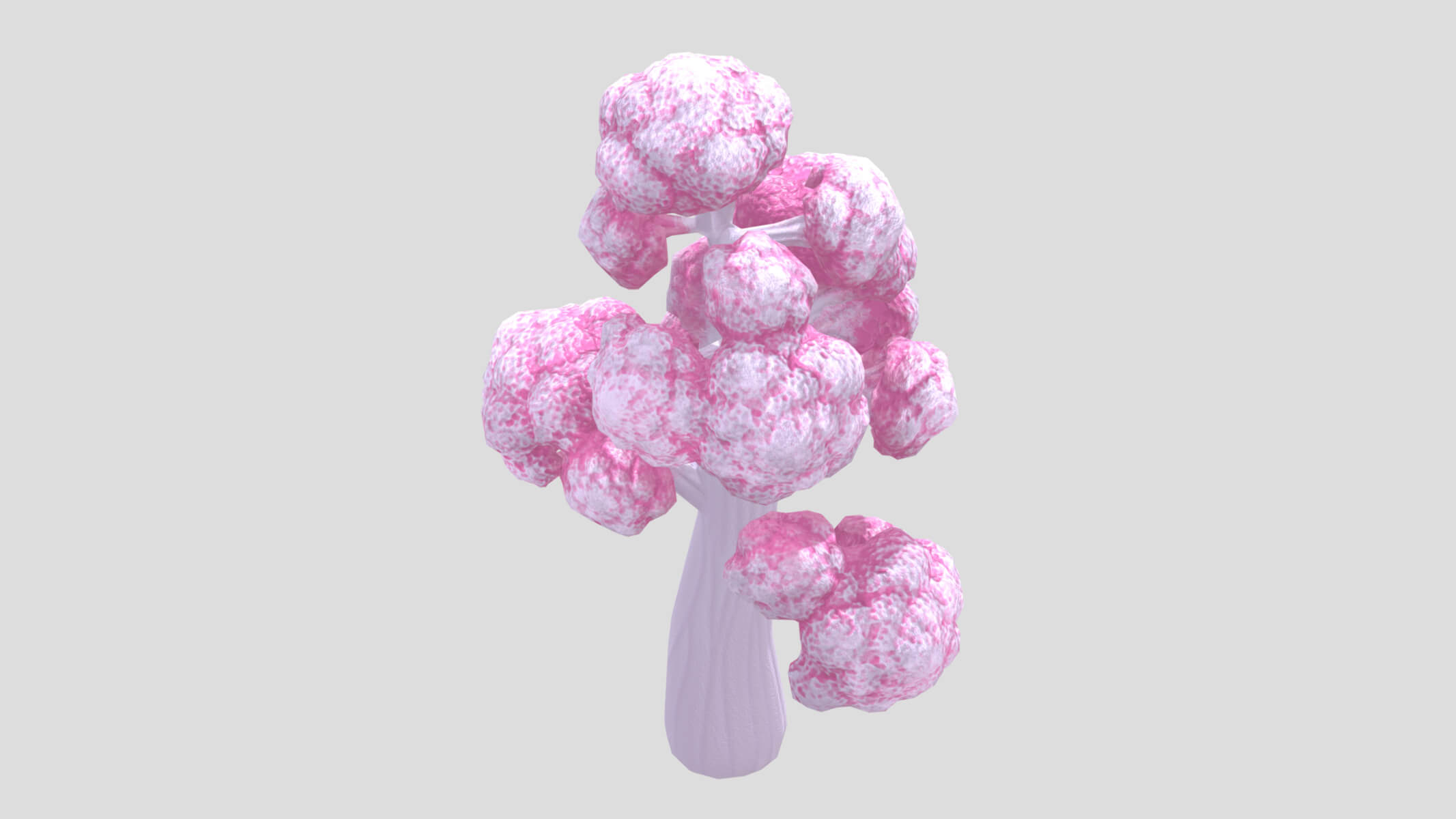 Dendronephthya Coral Low Poly - 3D Model by frezzy