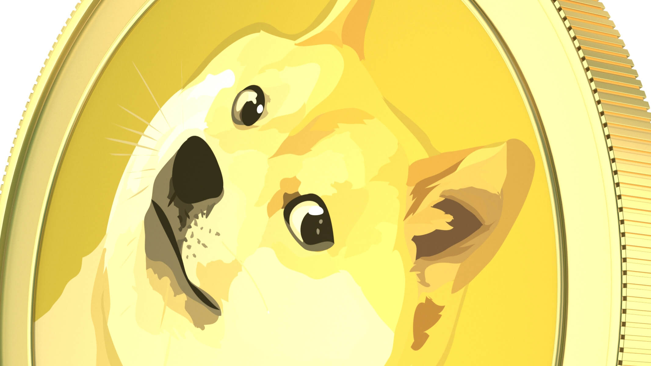 Doge Coin - 3D Model by frezzy