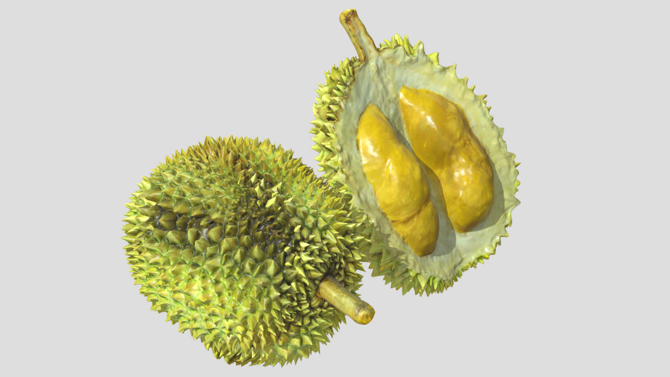 Durian Low Poly - 3D Model by frezzy