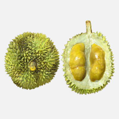 Durian Low Poly - 3D Model by frezzy