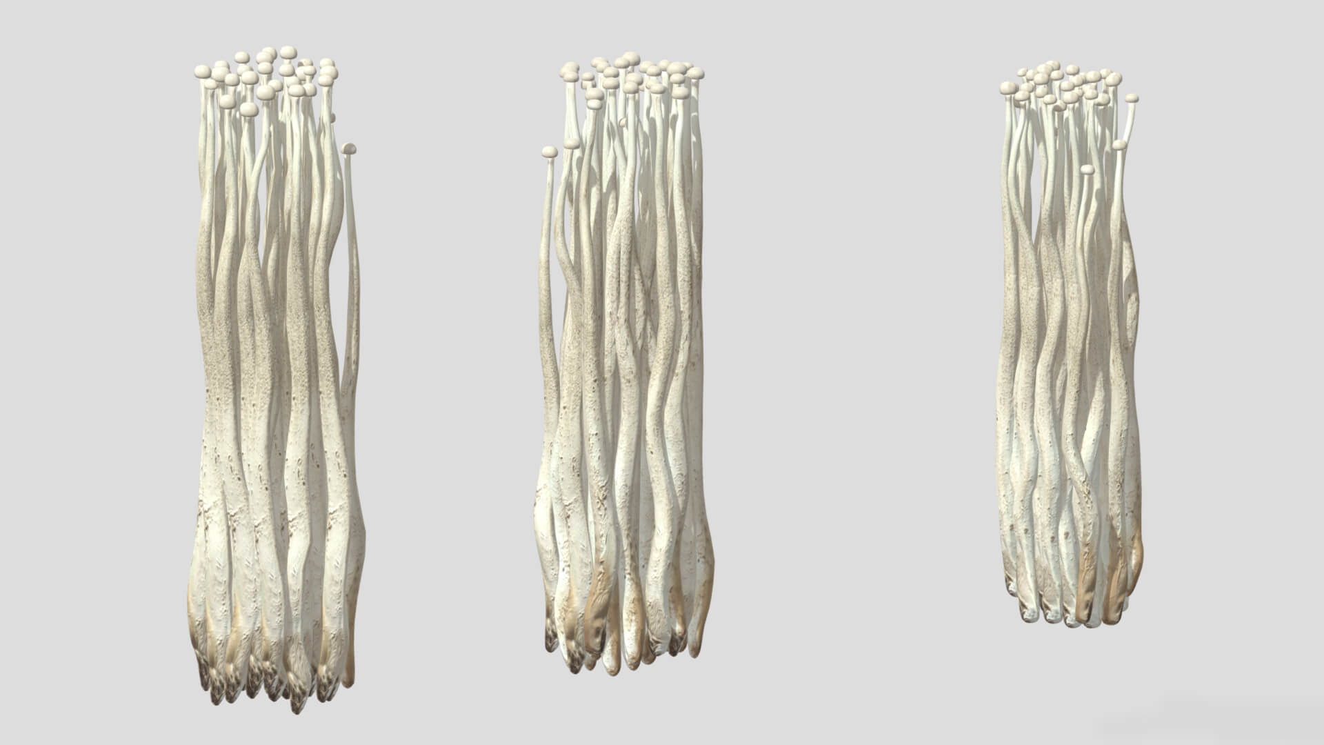 Enoki Mushroom Low Poly - 3D Model by frezzy
