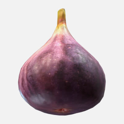 Fig Low Poly - 3D Model by frezzy