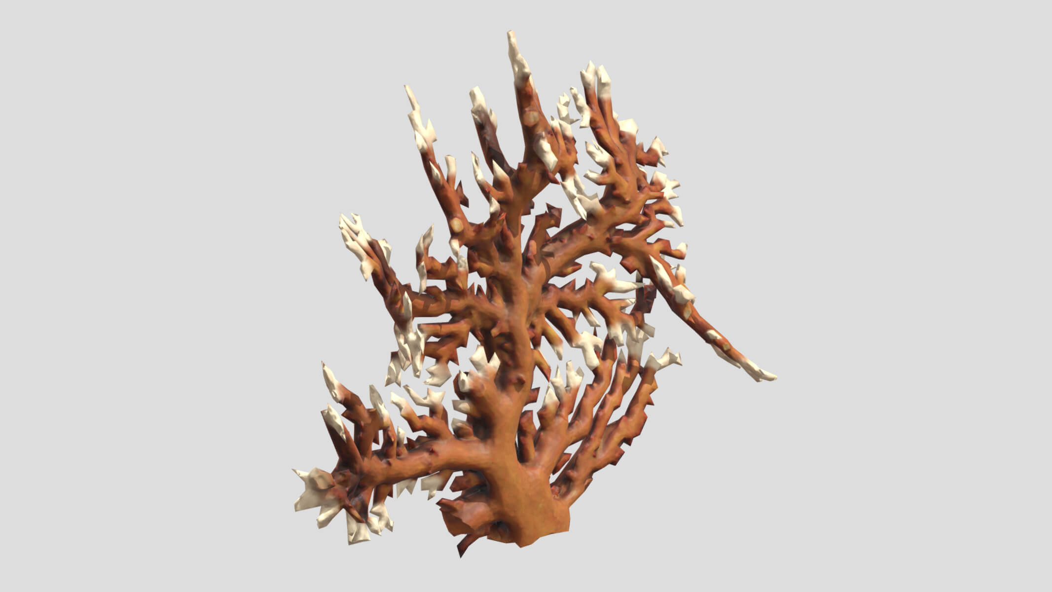 Fire Coral Low Poly - 3D Model by frezzy