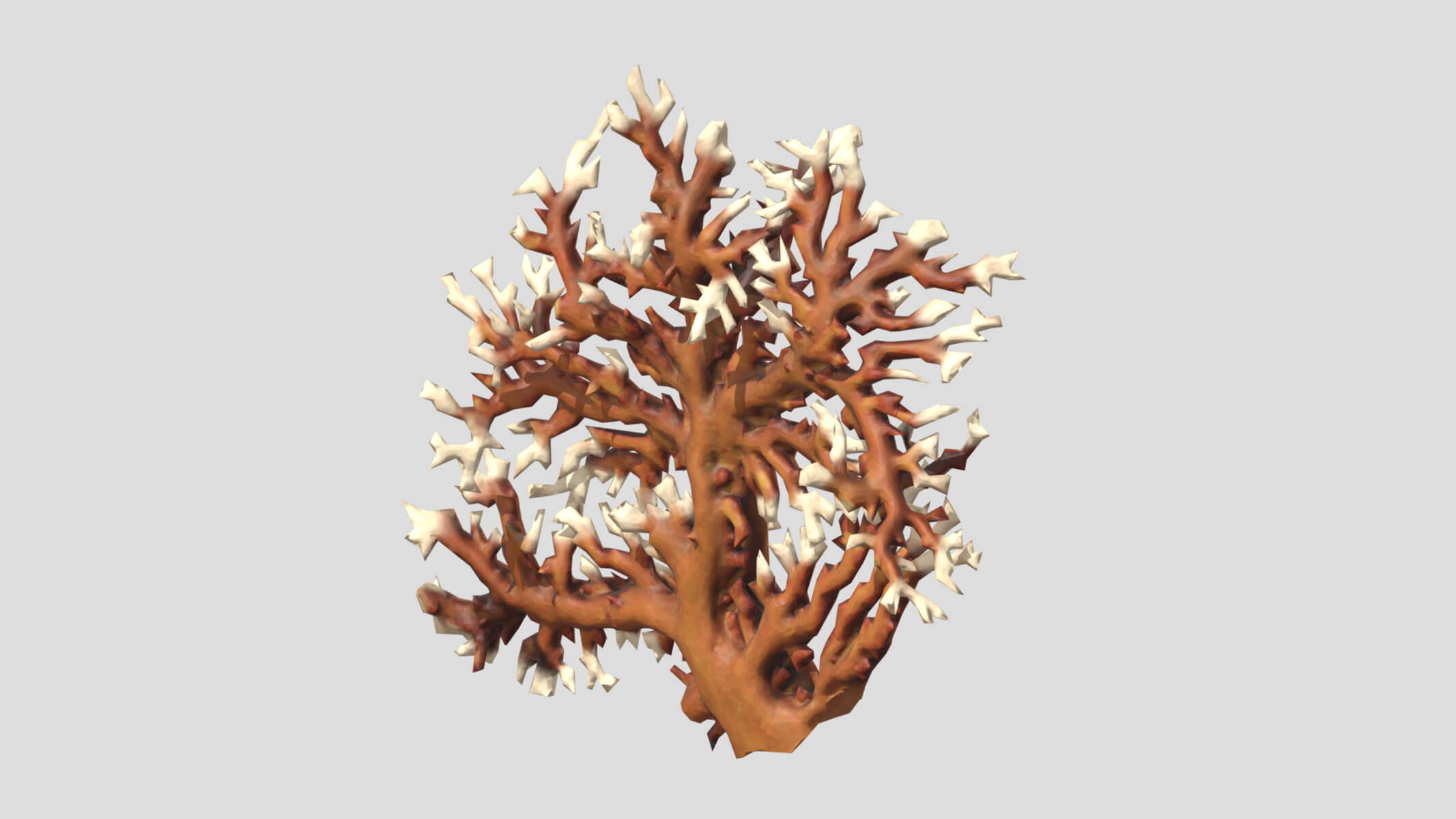 Fire Coral Low Poly - 3D Model by frezzy