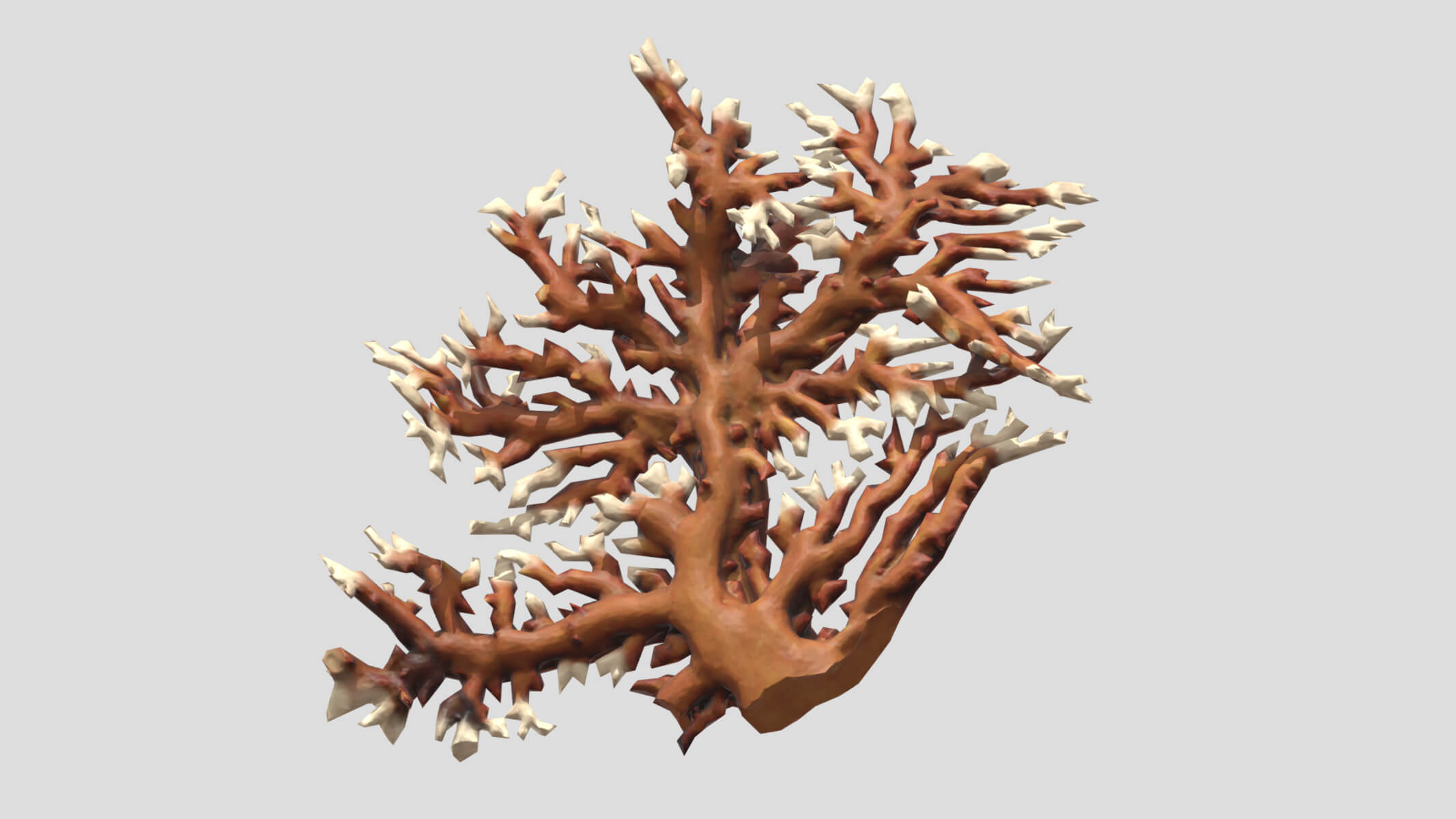 Fire Coral Low Poly - 3D Model by frezzy