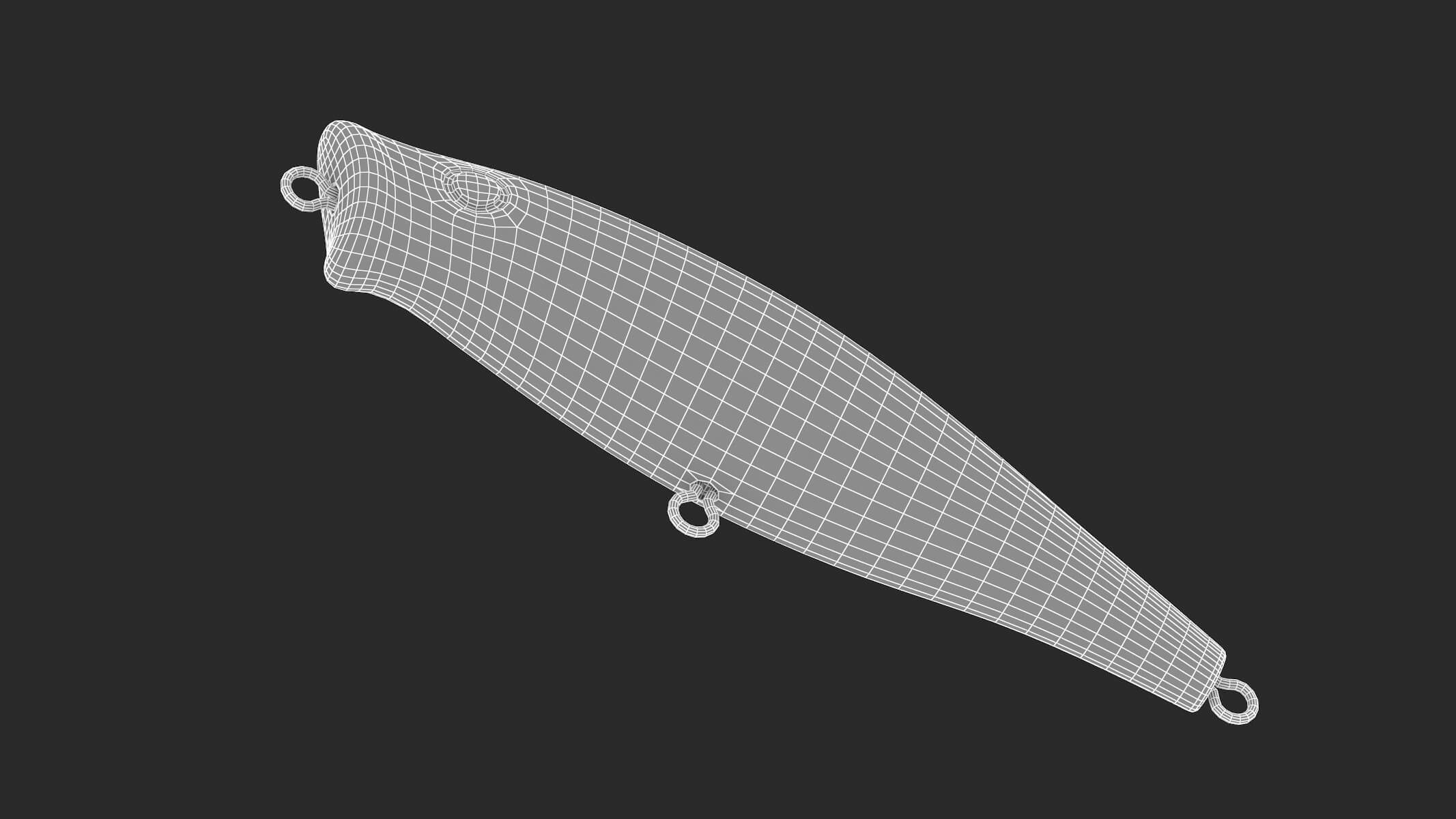 Fishing Lure Blank - 3D Model by frezzy