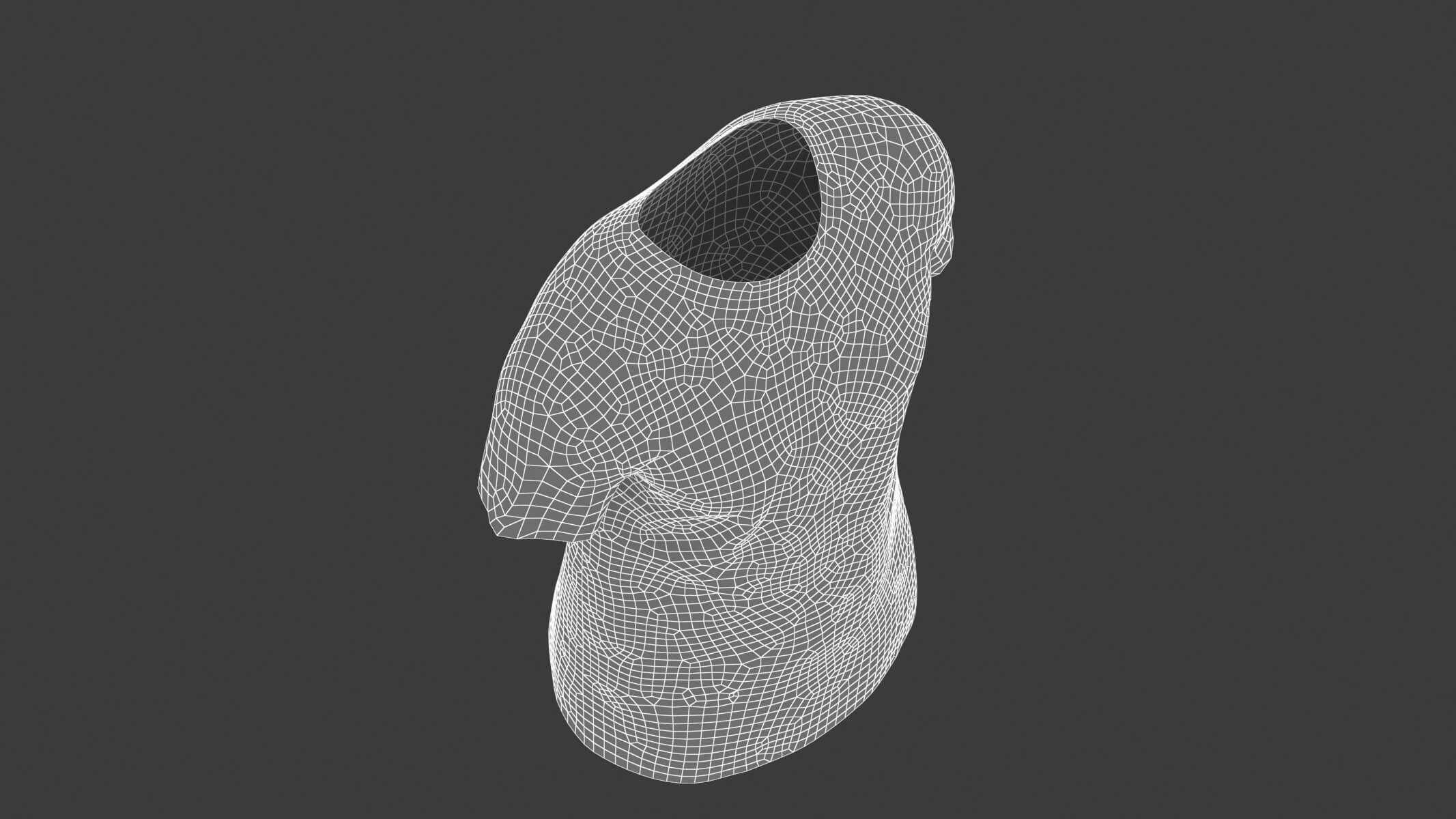 Football Tshirt Generic Low Poly - 3D Model by frezzy