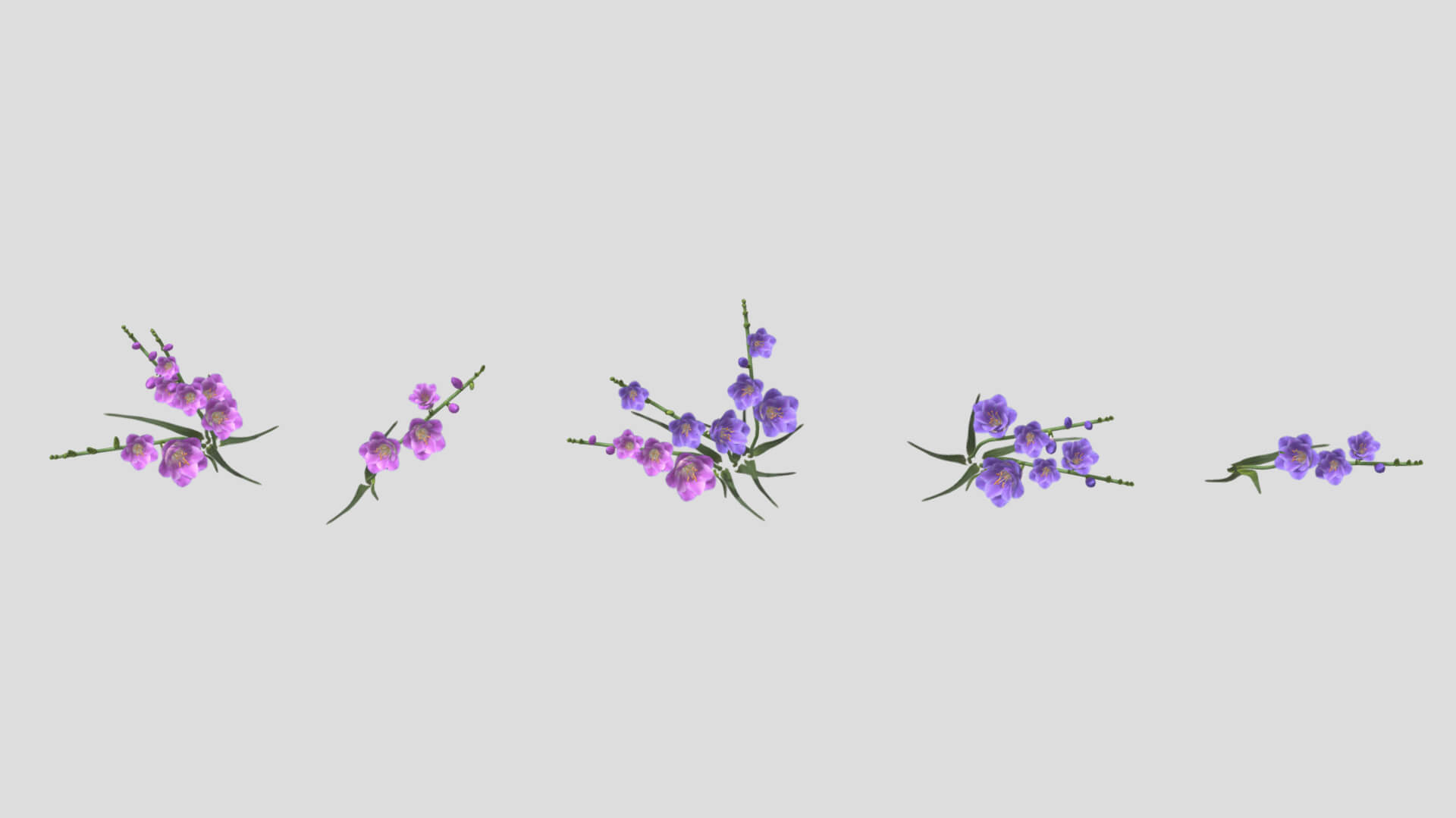 Freesia Flower Low Poly - 3D Model by frezzy