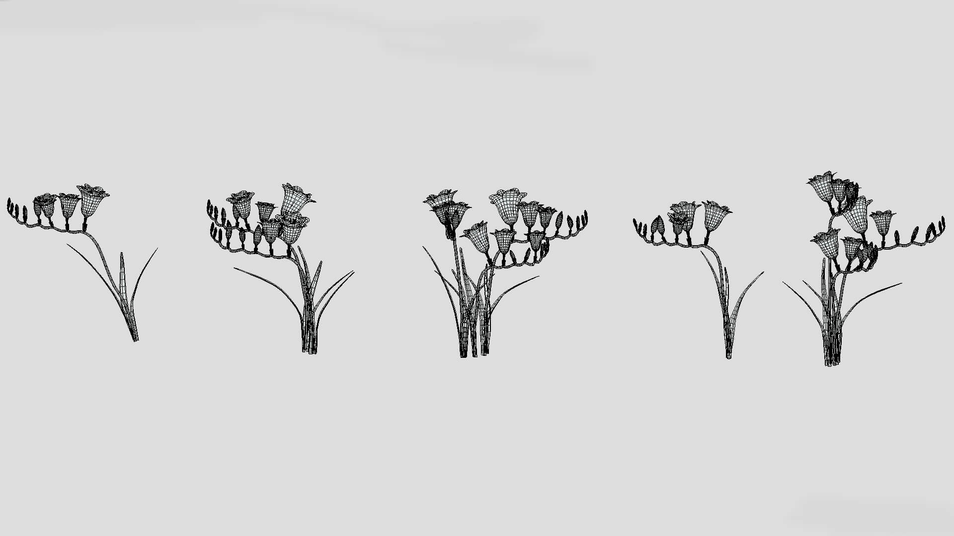 Freesia Flower Low Poly - 3D Model by frezzy