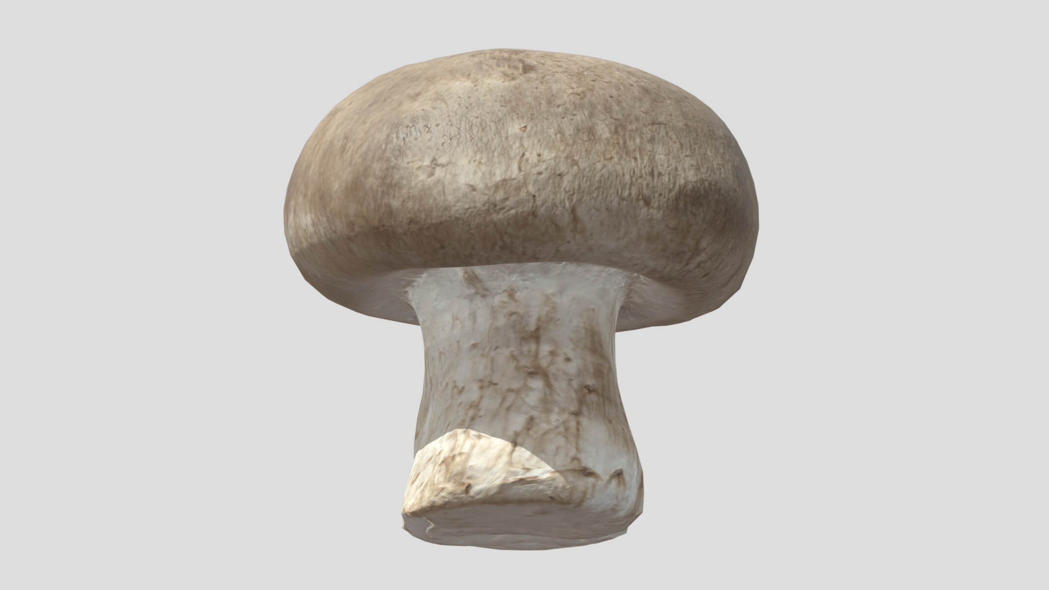 Fresh Mushroom 01 Low Poly - 3D Model by frezzy