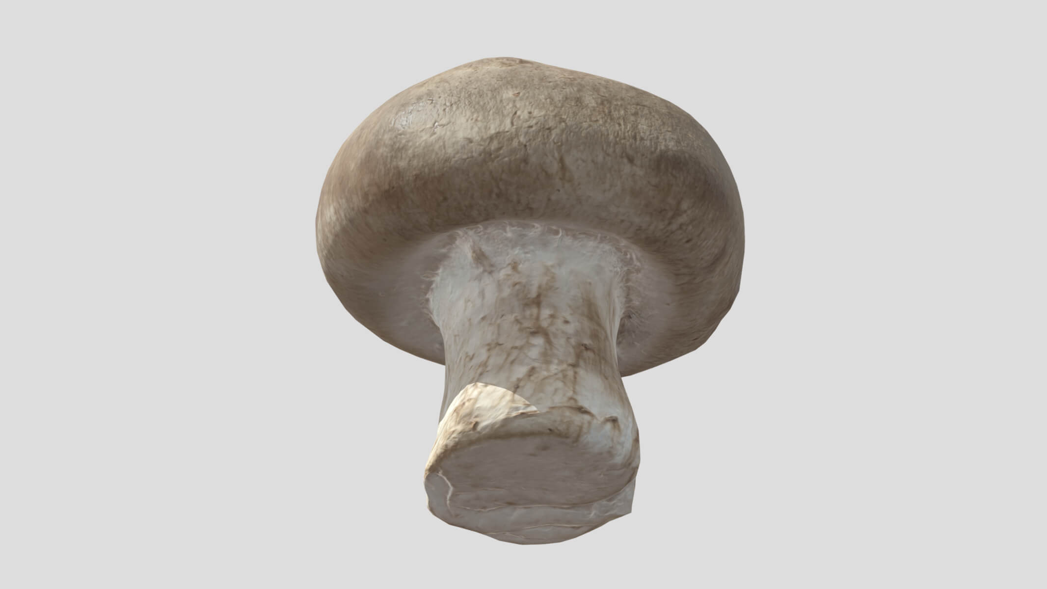 Fresh Mushroom 01 Low Poly - 3D Model by frezzy