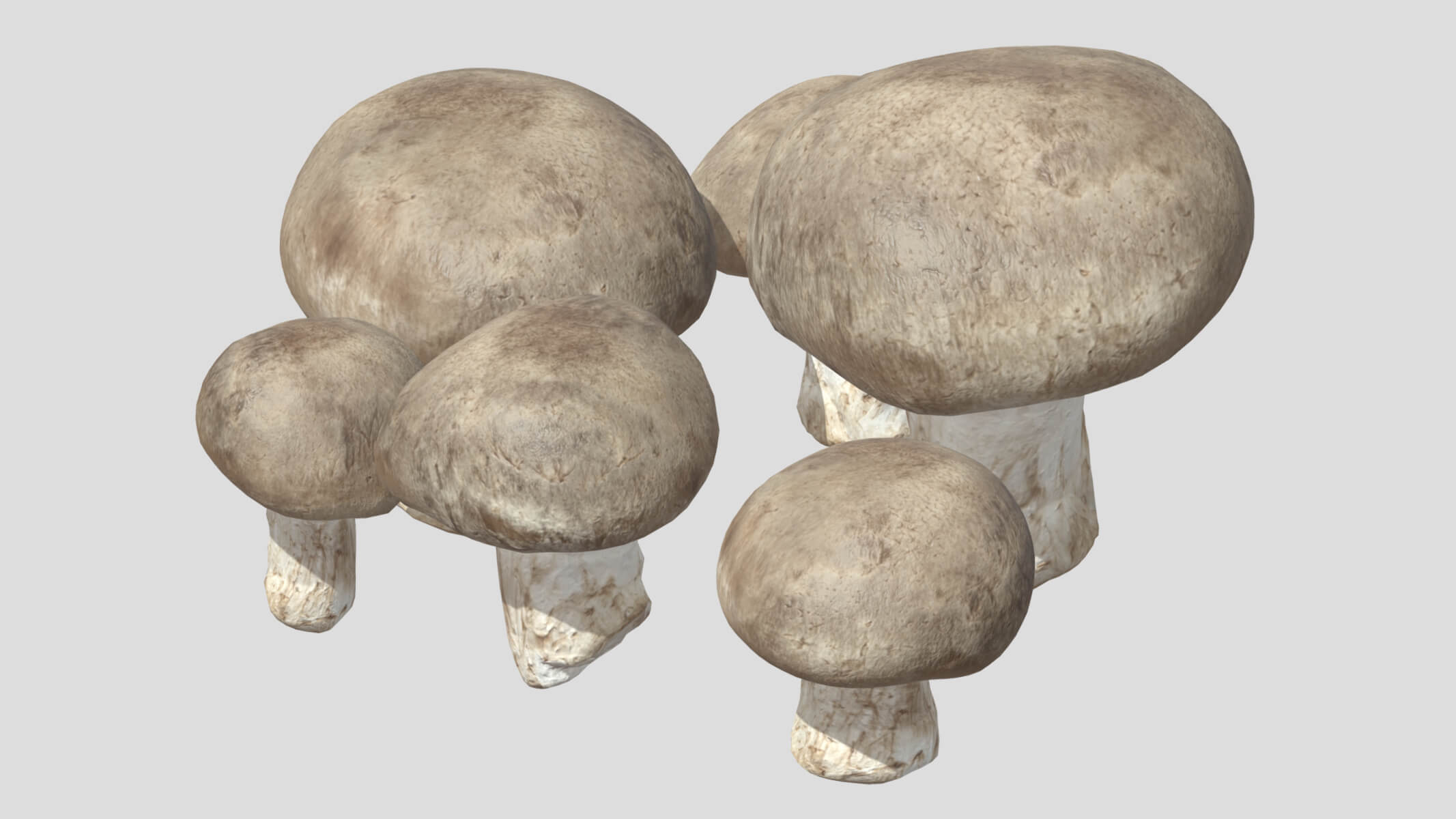 Fresh Mushroom 2 Low Poly - 3D Model by frezzy