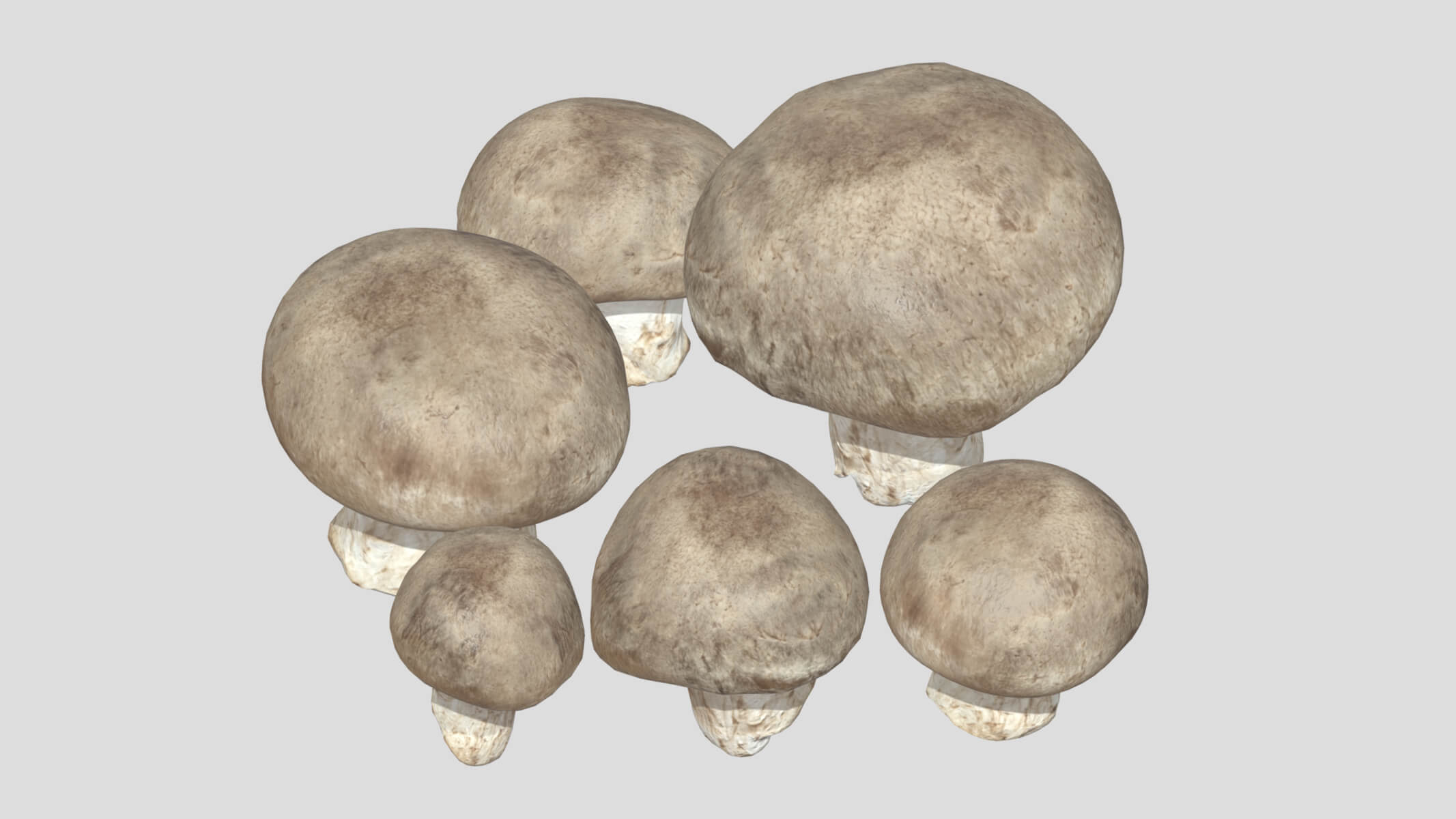 Fresh Mushroom 2 Low Poly - 3D Model by frezzy