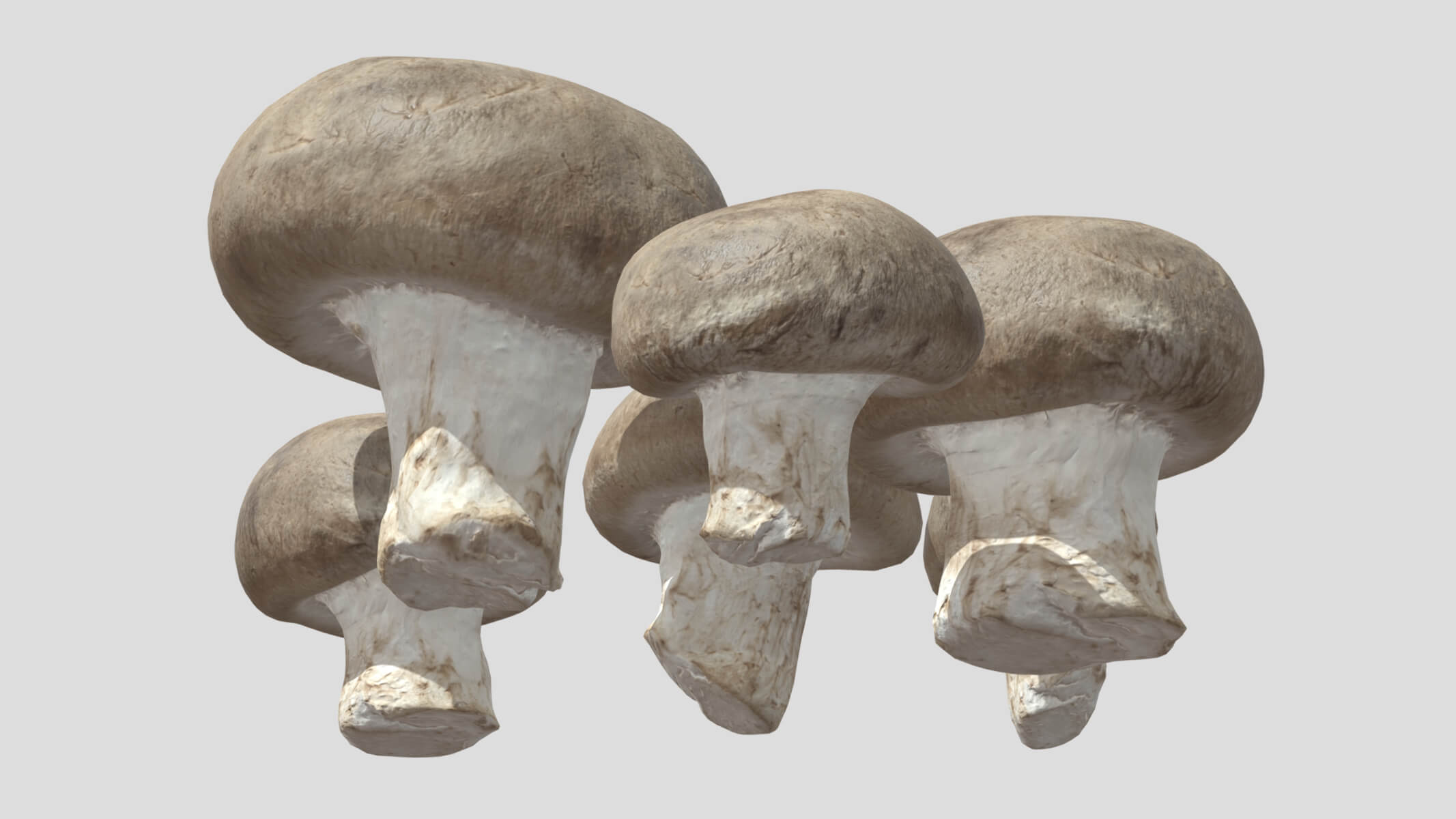 Fresh Mushroom 2 Low Poly - 3D Model by frezzy