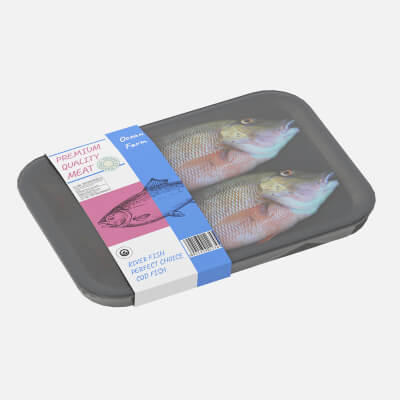 Frozen Fish Low Poly - 3D Model by frezzy