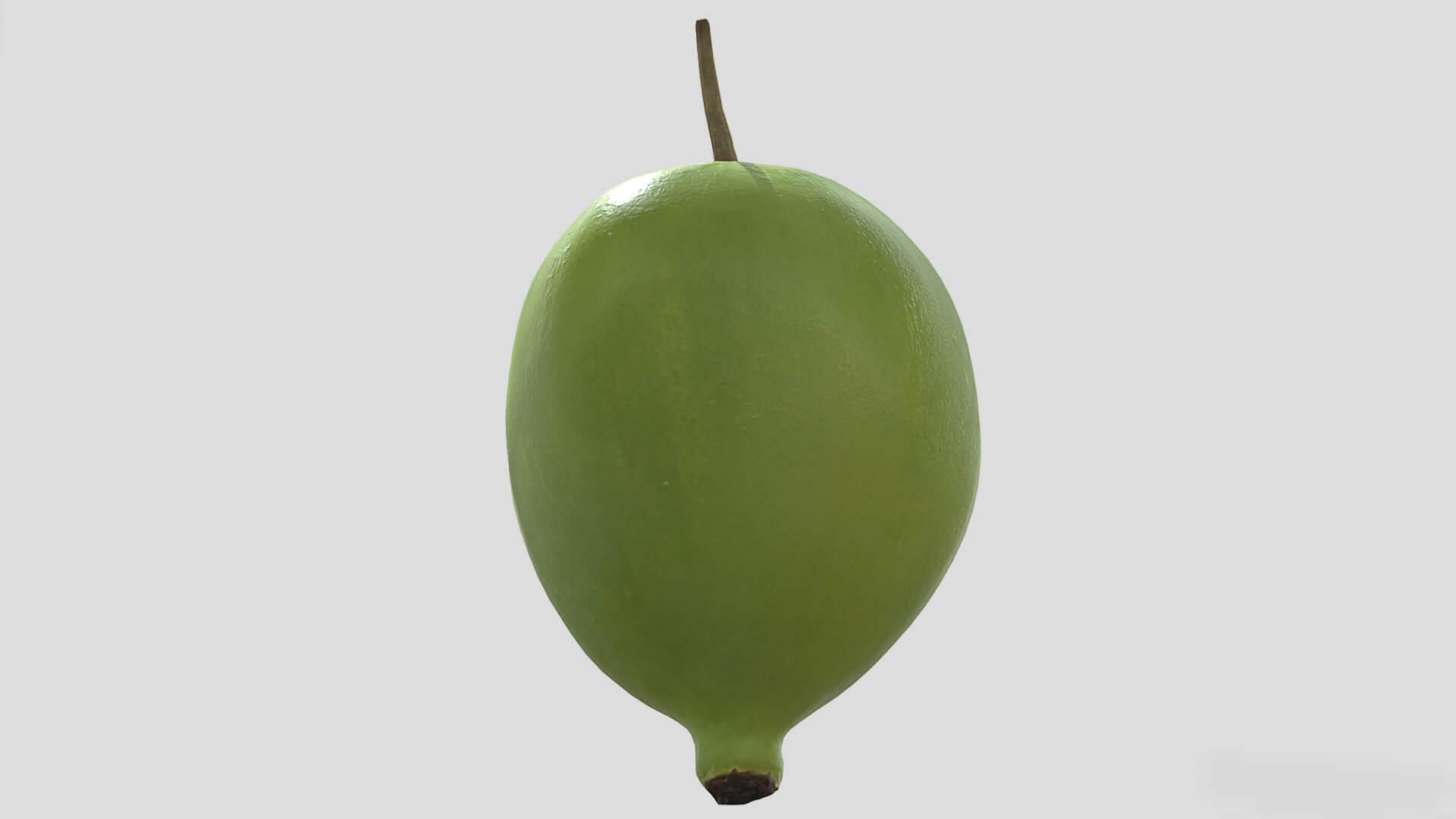 Fruit American Mayapple Low Poly - 3D Model by frezzy