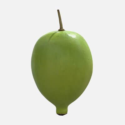 Fruit American Mayapple Low Poly - 3D Model by frezzy