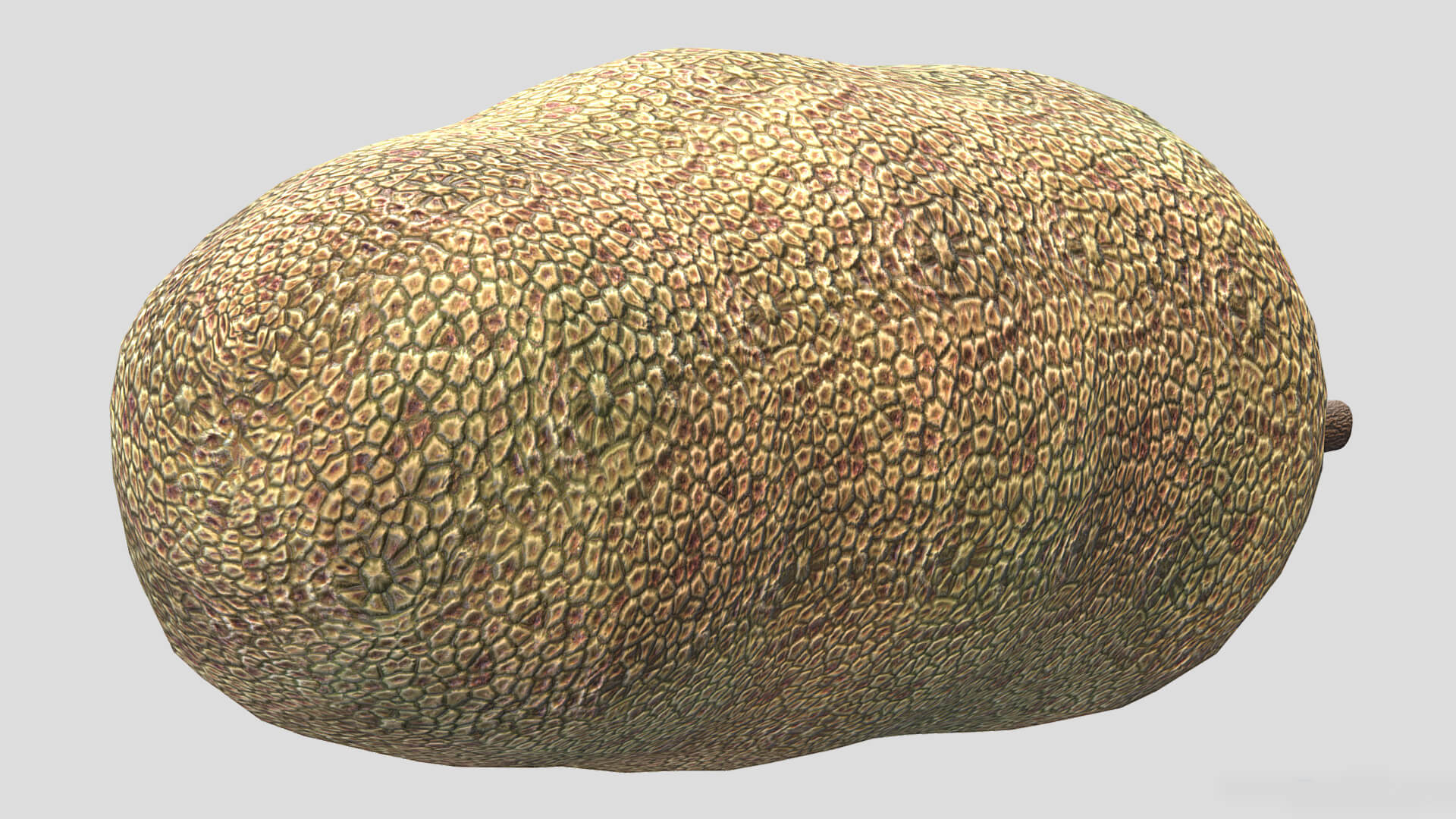 Fruit Artocarpus Integer Low Poly - 3D Model by frezzy