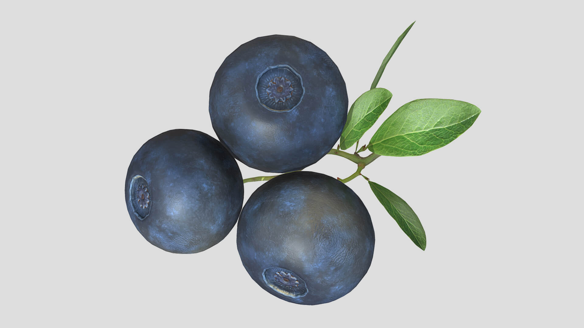 Fruit Bilberry Low Poly - 3D Model by frezzy