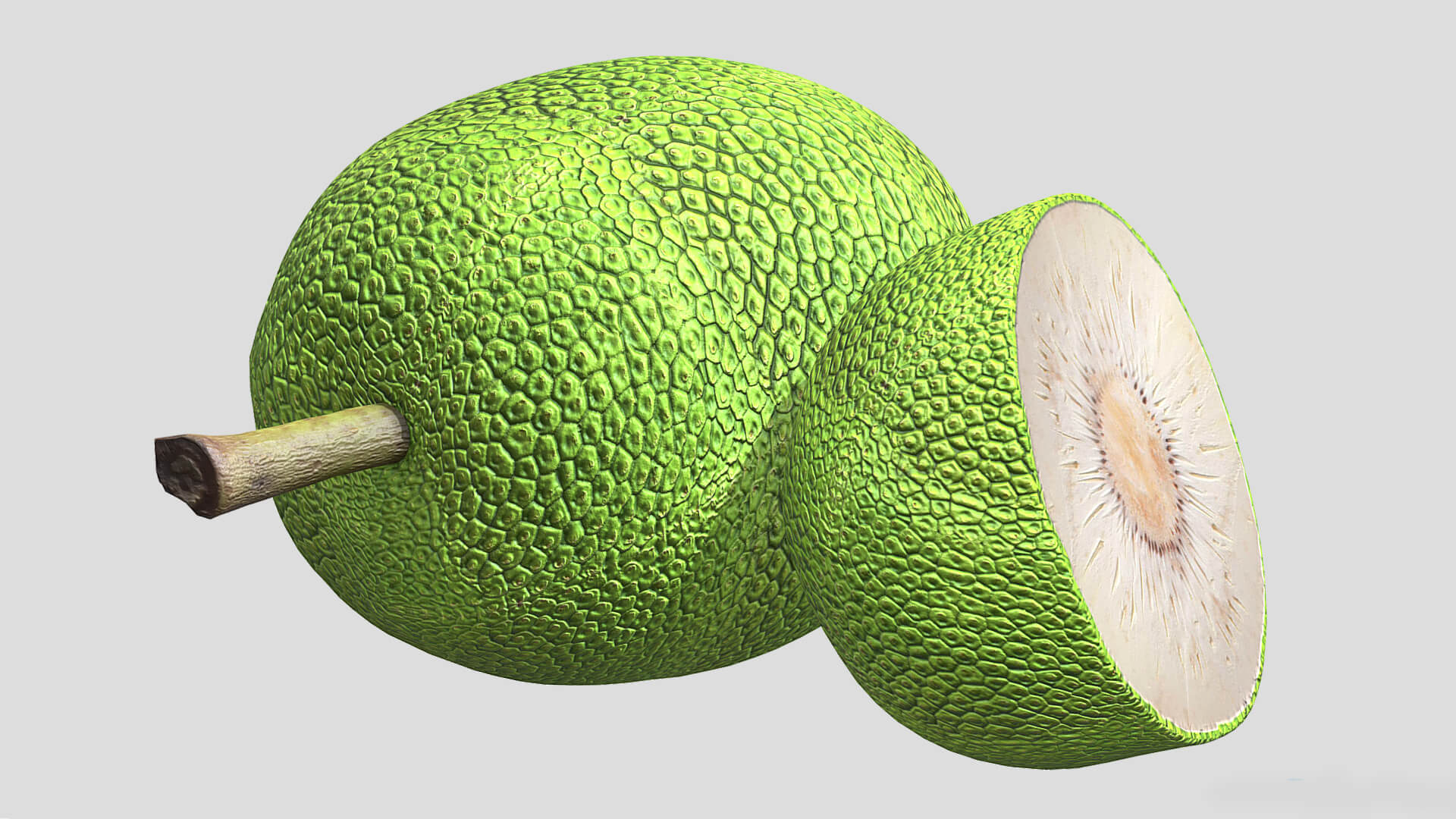 Fruit Breadfruit Low Poly - 3D Model by frezzy