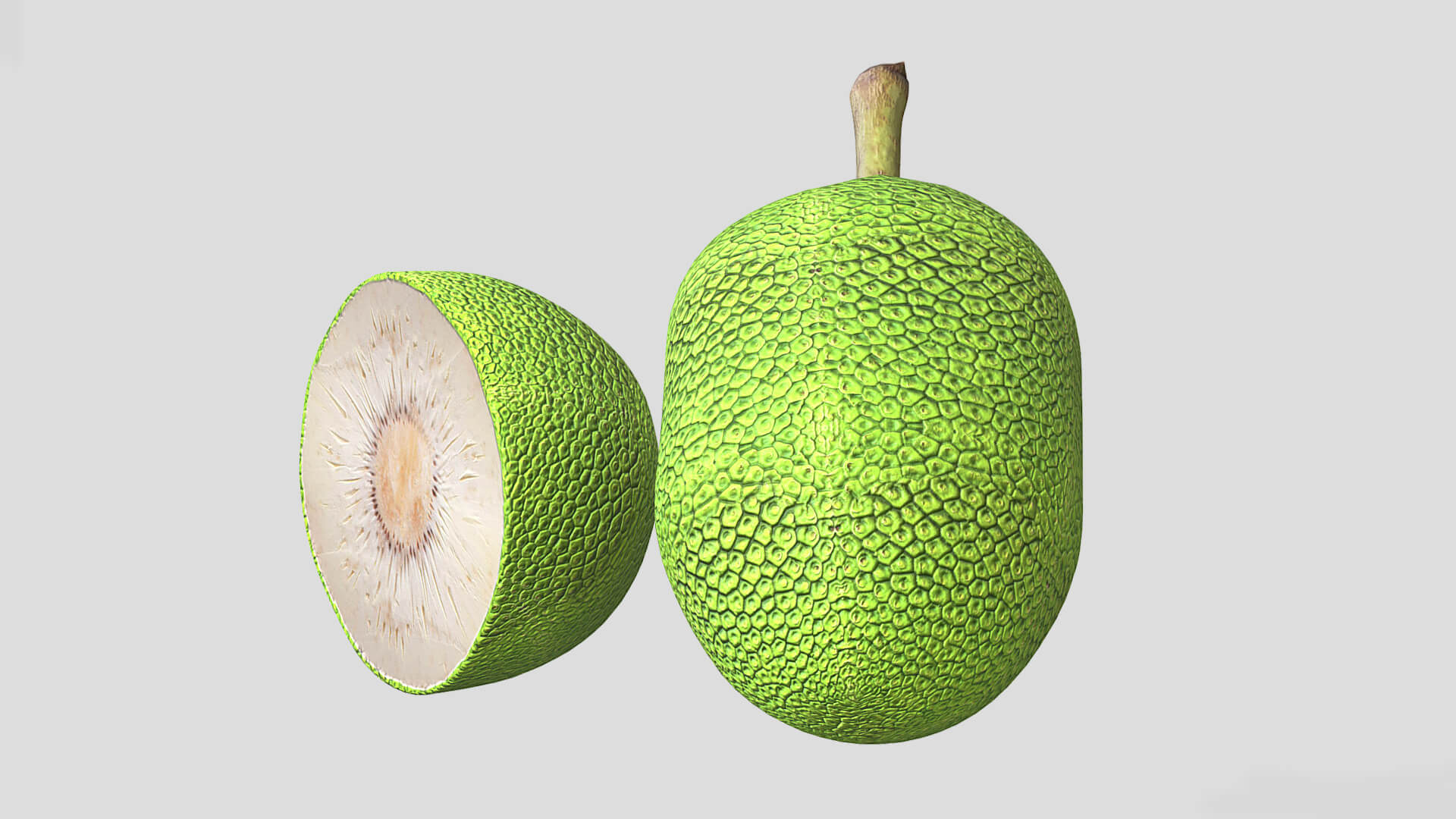 Fruit Breadfruit Low Poly - 3D Model by frezzy