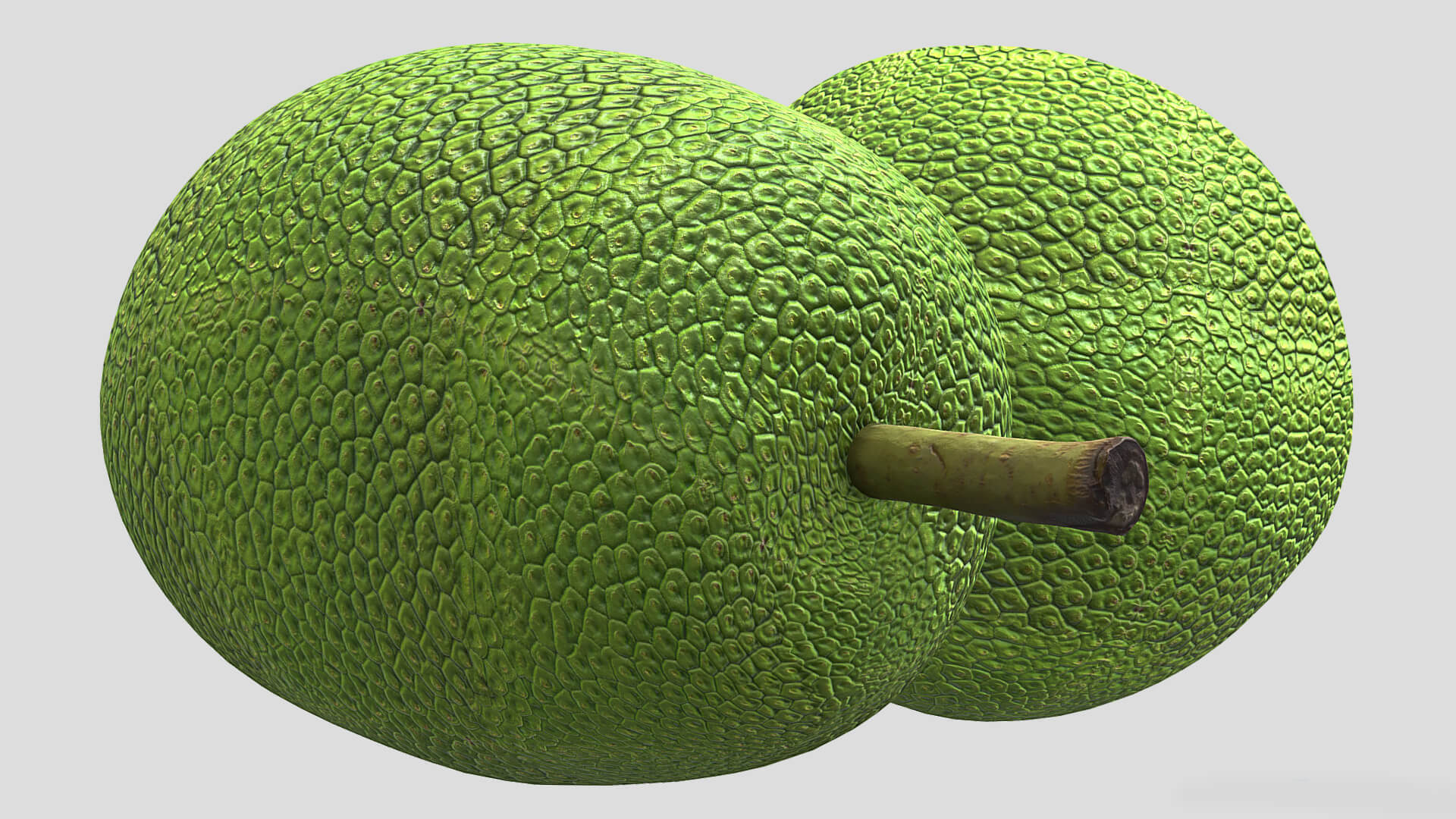 Fruit Breadfruit Low Poly - 3D Model by frezzy