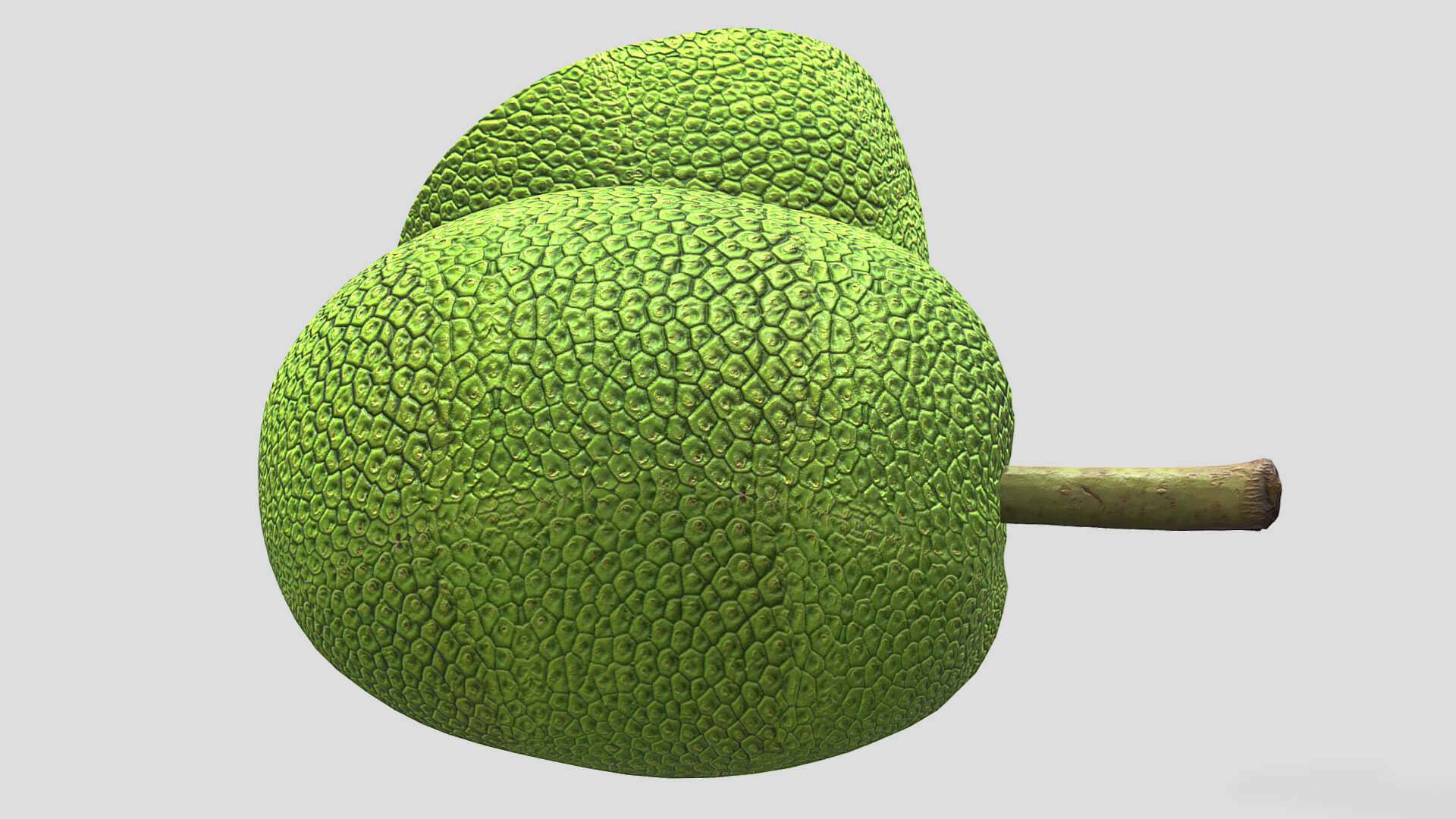 Fruit Breadfruit Low Poly - 3D Model by frezzy