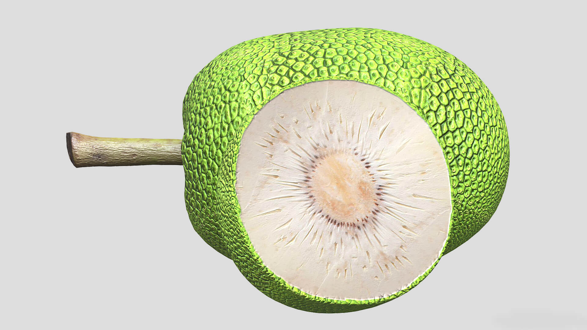 Fruit Breadfruit Low Poly - 3D Model by frezzy