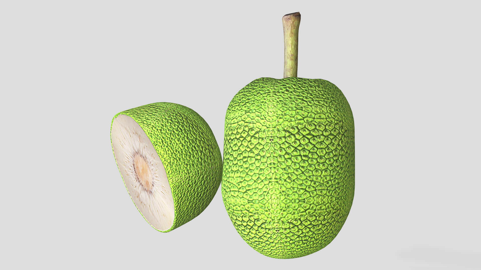 Fruit Breadfruit Low Poly - 3D Model by frezzy