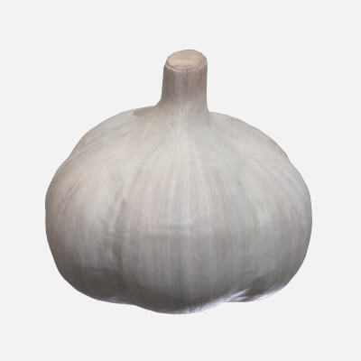 Garlic Low Poly - 3D Model by frezzy