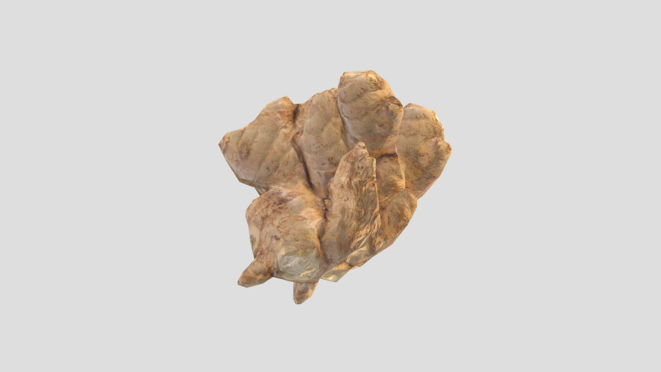 Ginger Low Poly - 3D Model by frezzy