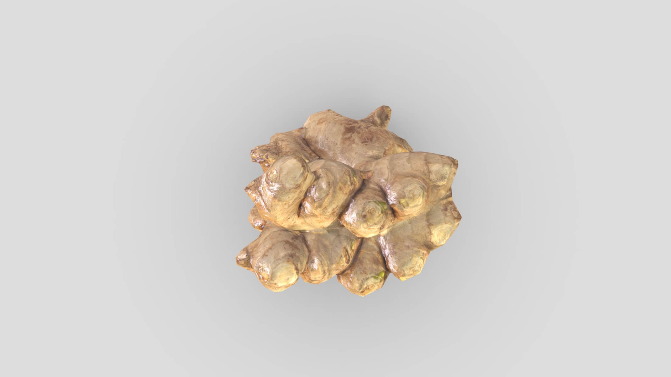 Ginger Low Poly - 3D Model by frezzy