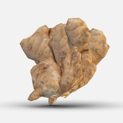 Ginger Low Poly - 3D Model by frezzy