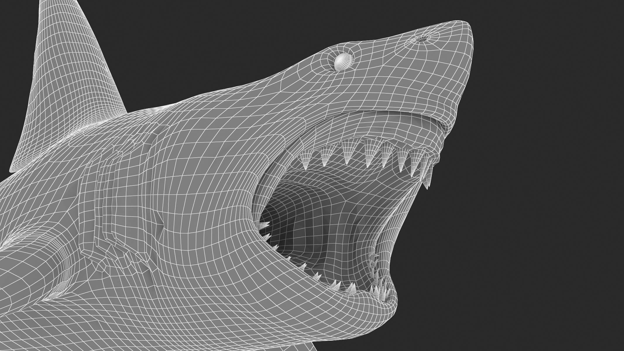 Great White Shark - 3D Model by frezzy
