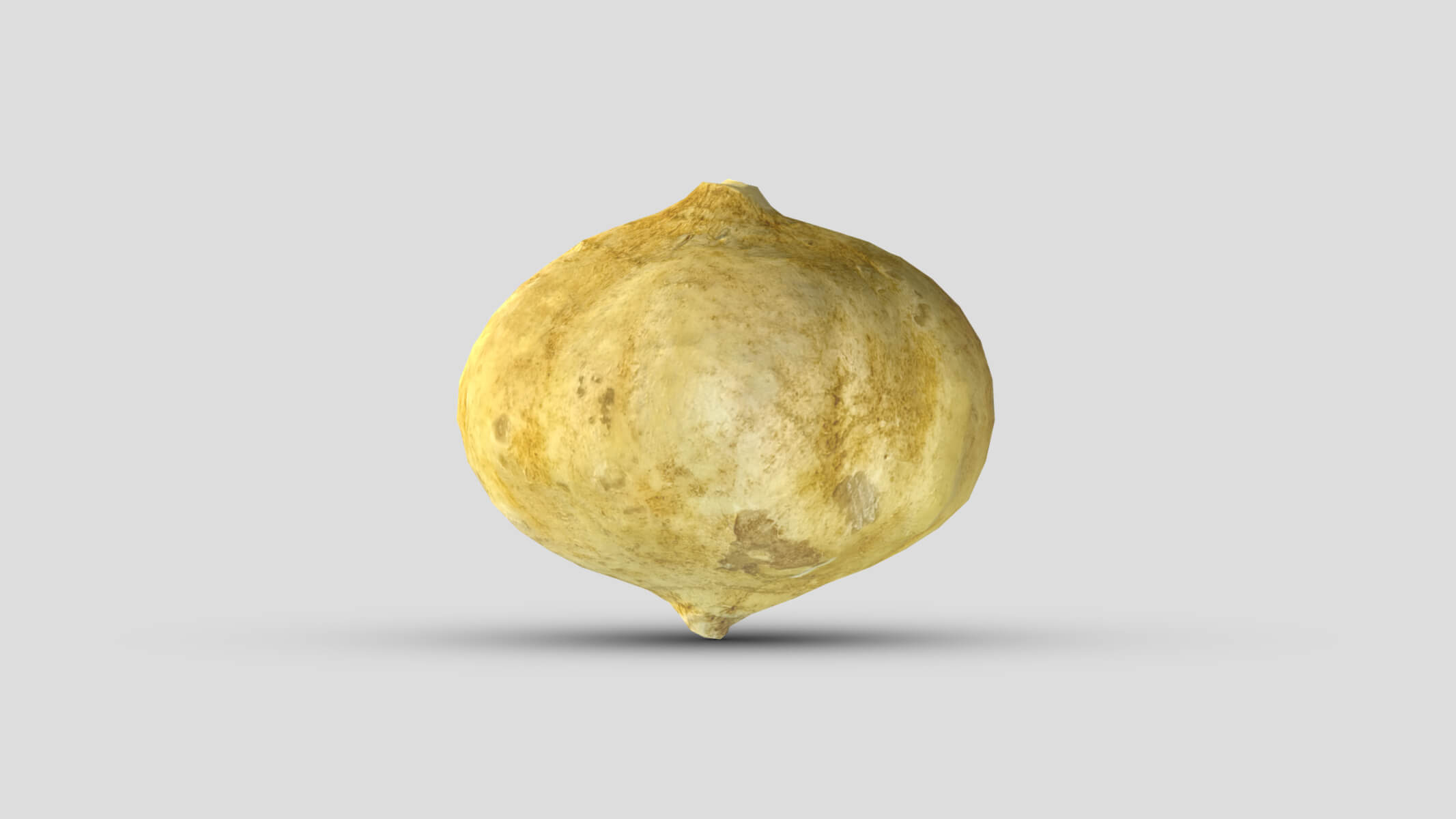 Jicama Low Poly - 3D Model by frezzy
