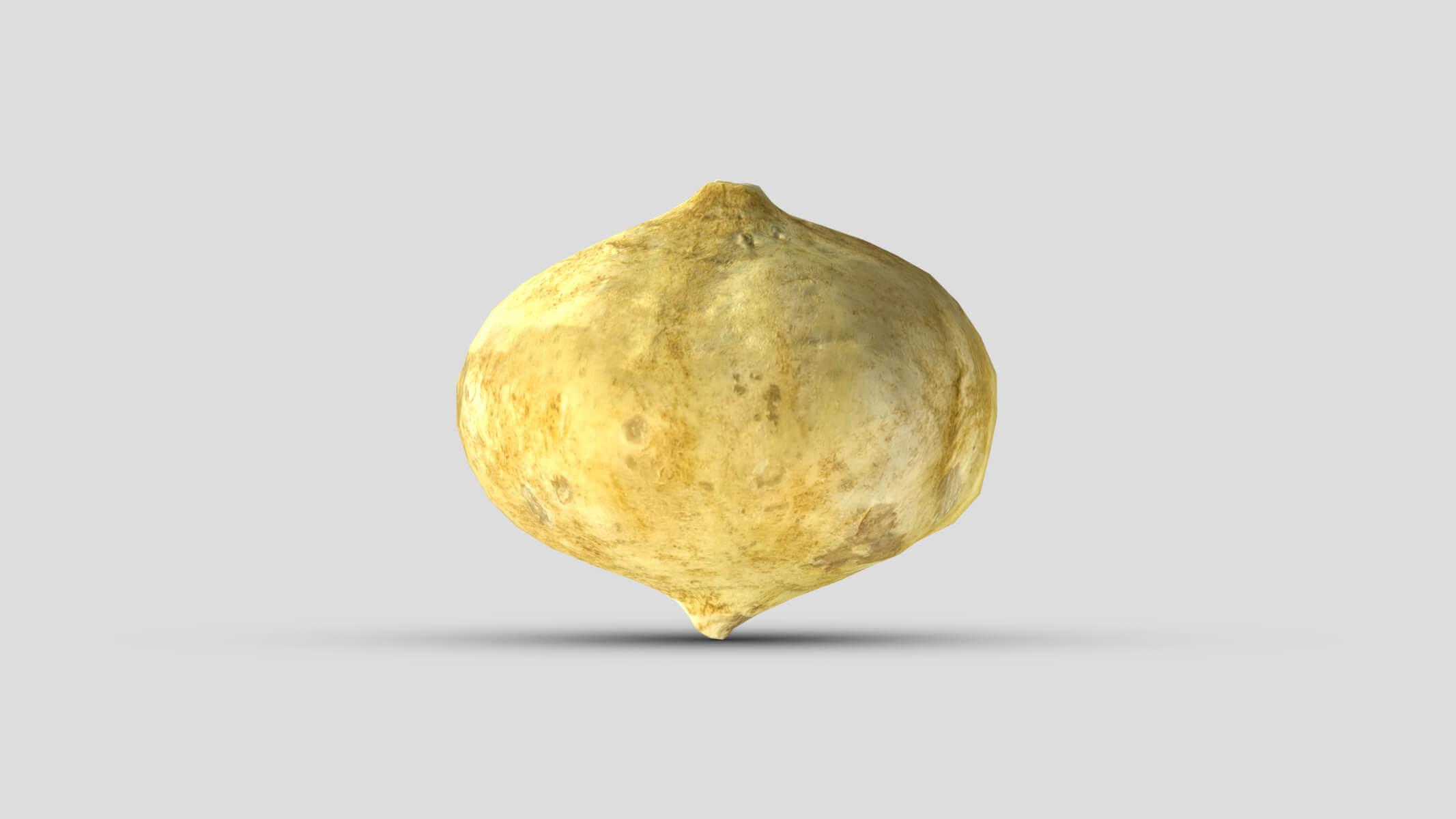 Jicama Low Poly - 3D Model by frezzy