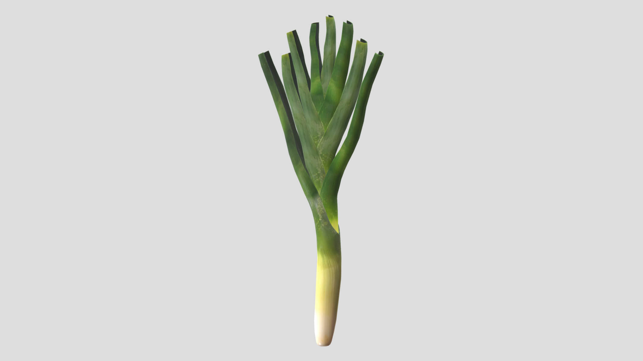Leek Low Poly - 3D Model by frezzy