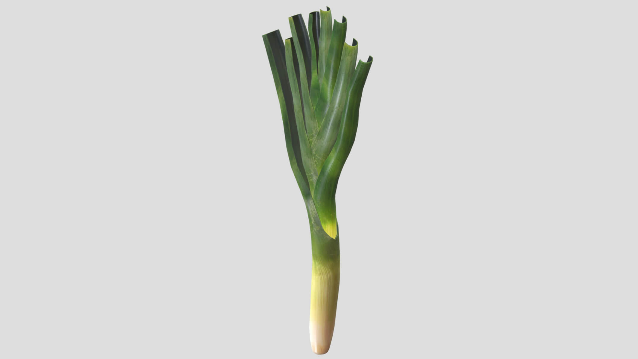 Leek Low Poly - 3D Model by frezzy