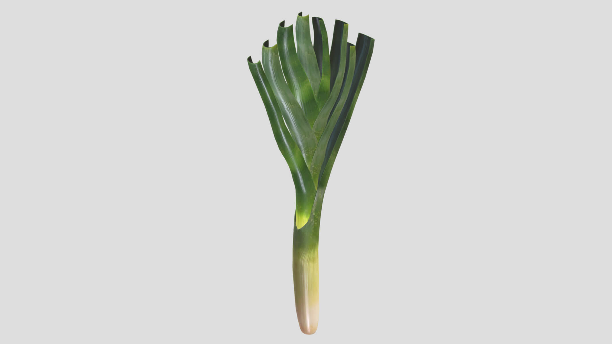 Leek Low Poly - 3D Model by frezzy