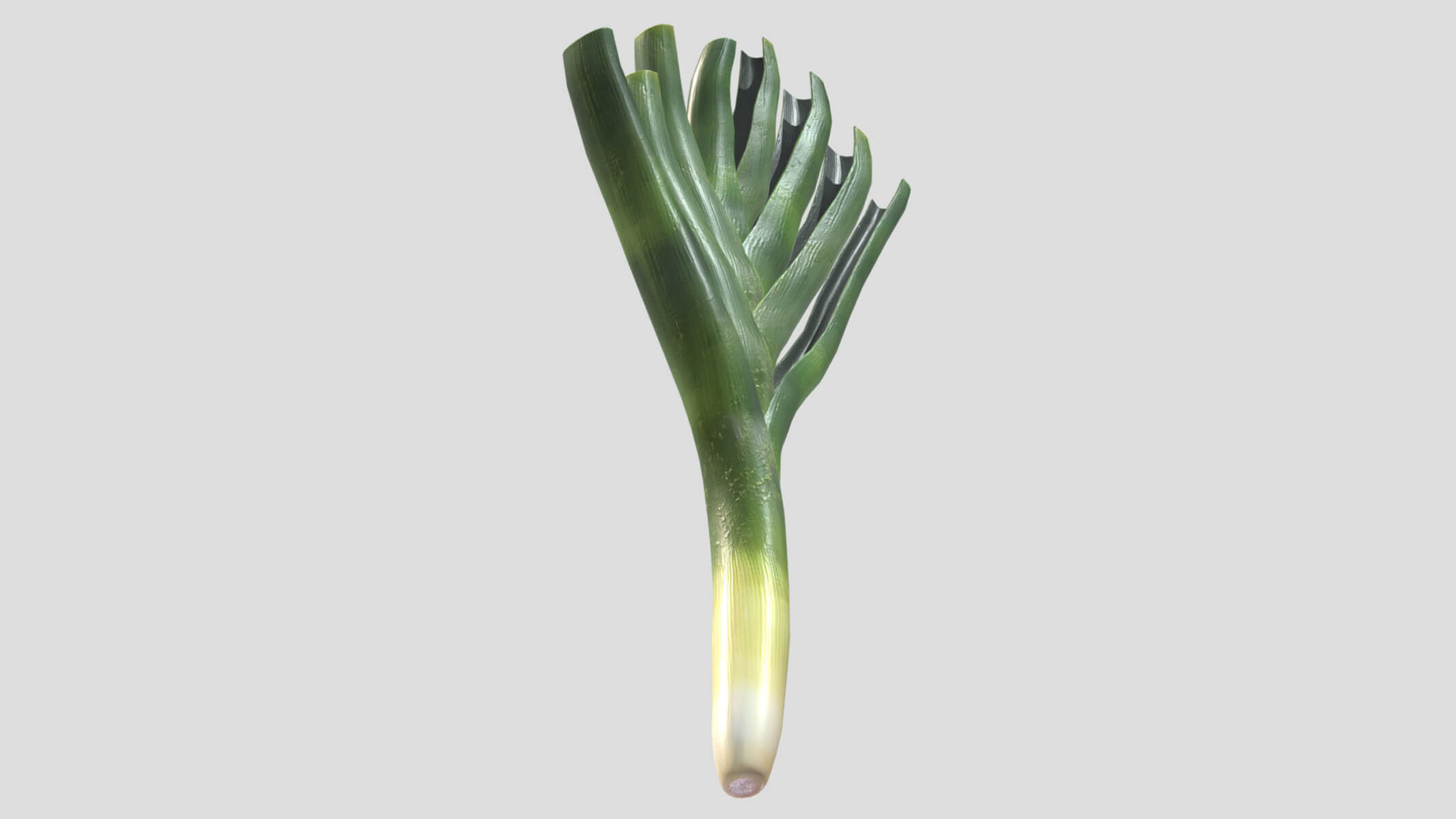 Leek Low Poly - 3D Model by frezzy