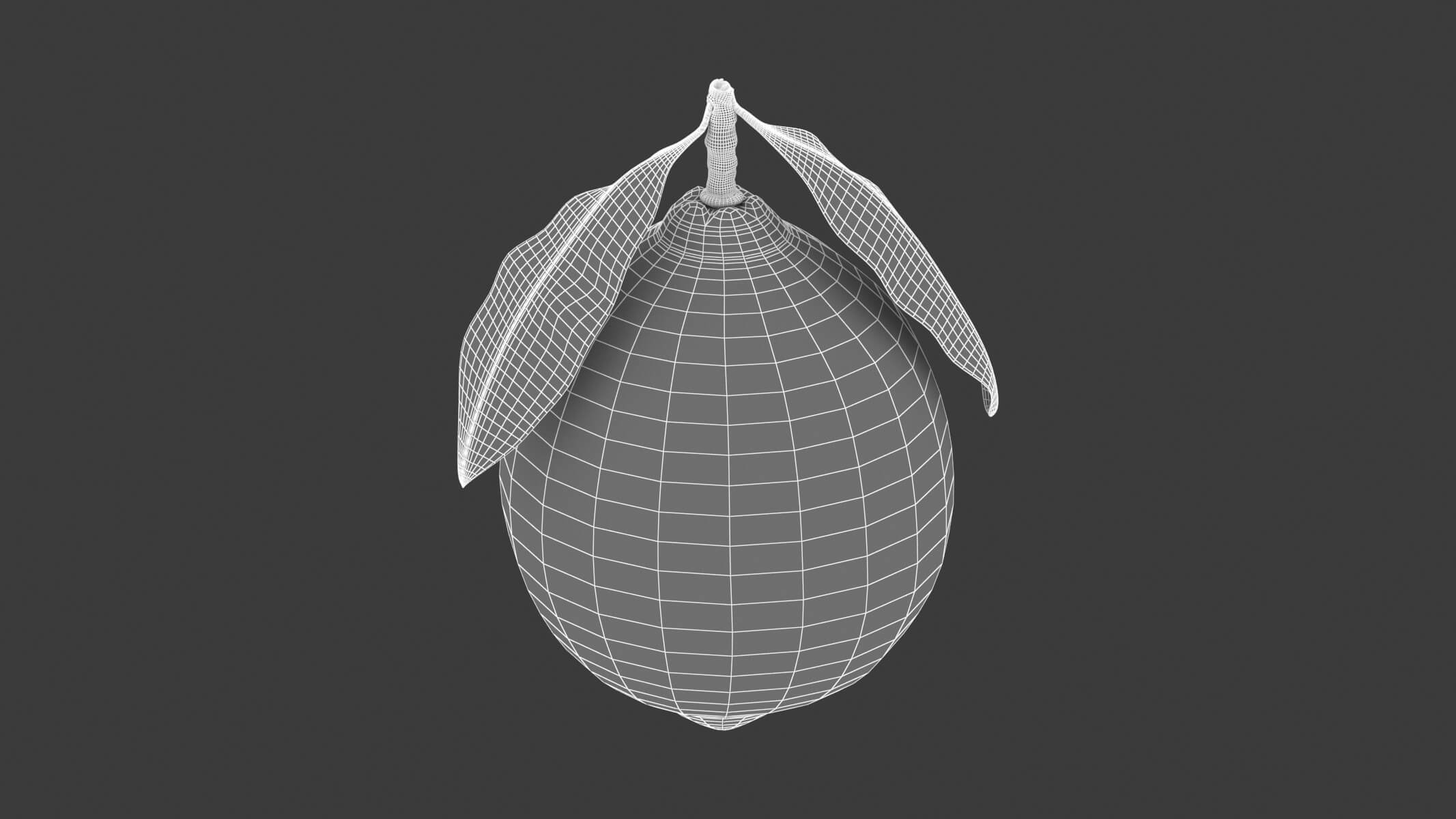 Lemon With Leaf - 3D Model by frezzy