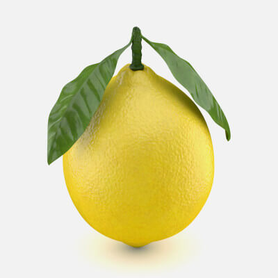 Lemon With Leaf - 3D Model by frezzy