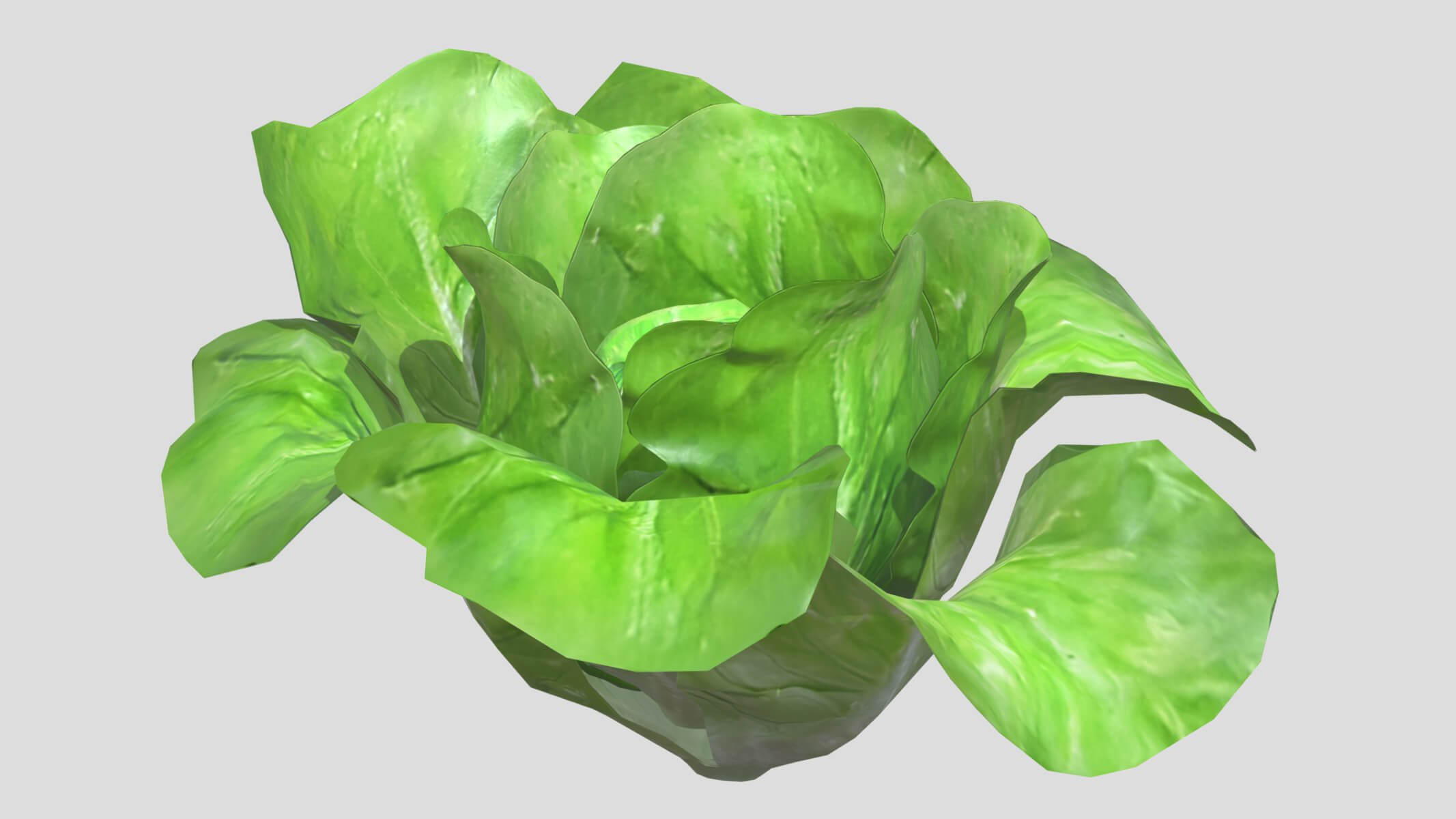 Lettuce Low Poly - 3D Model by frezzy