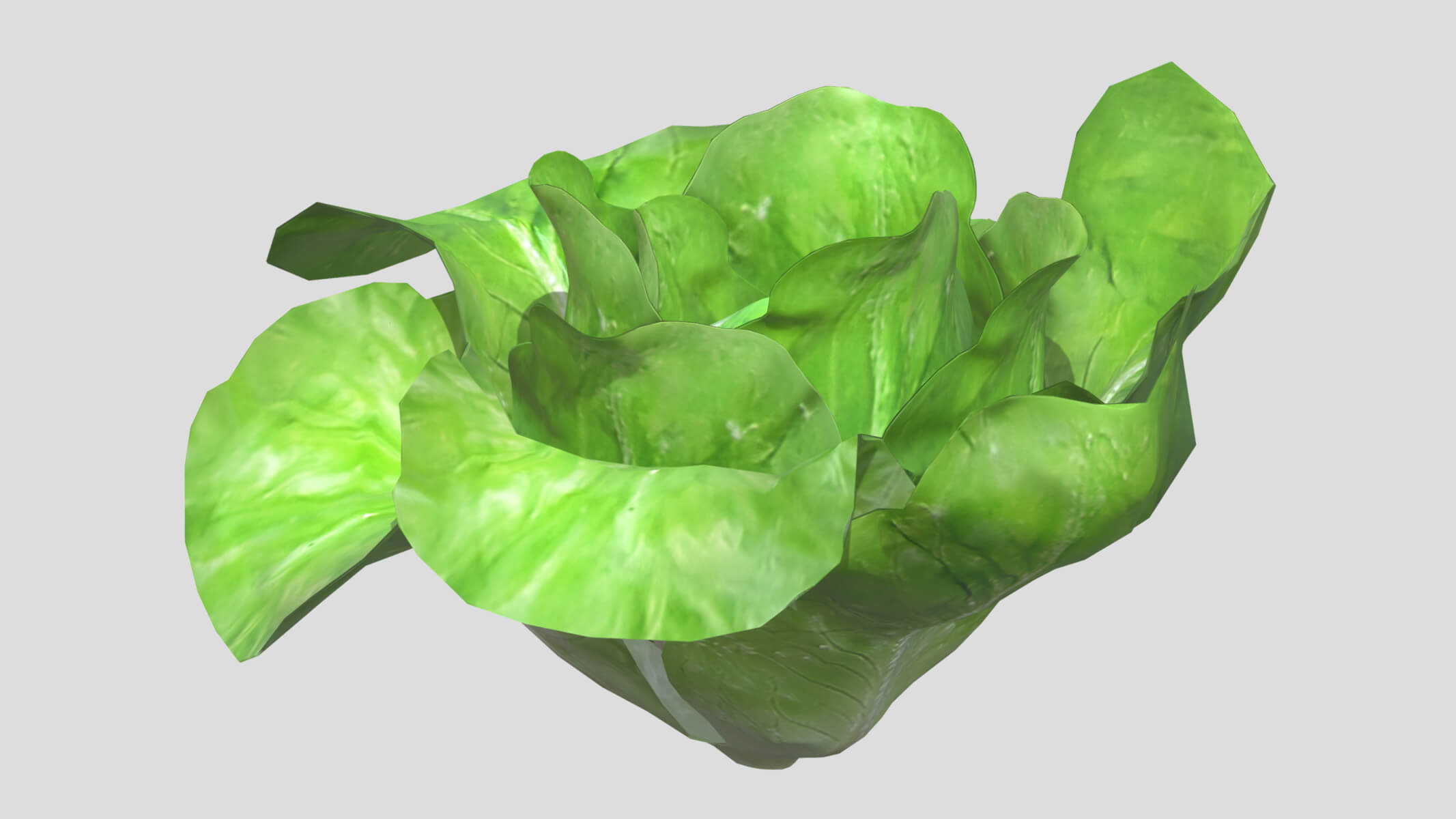 Lettuce Low Poly - 3D Model by frezzy