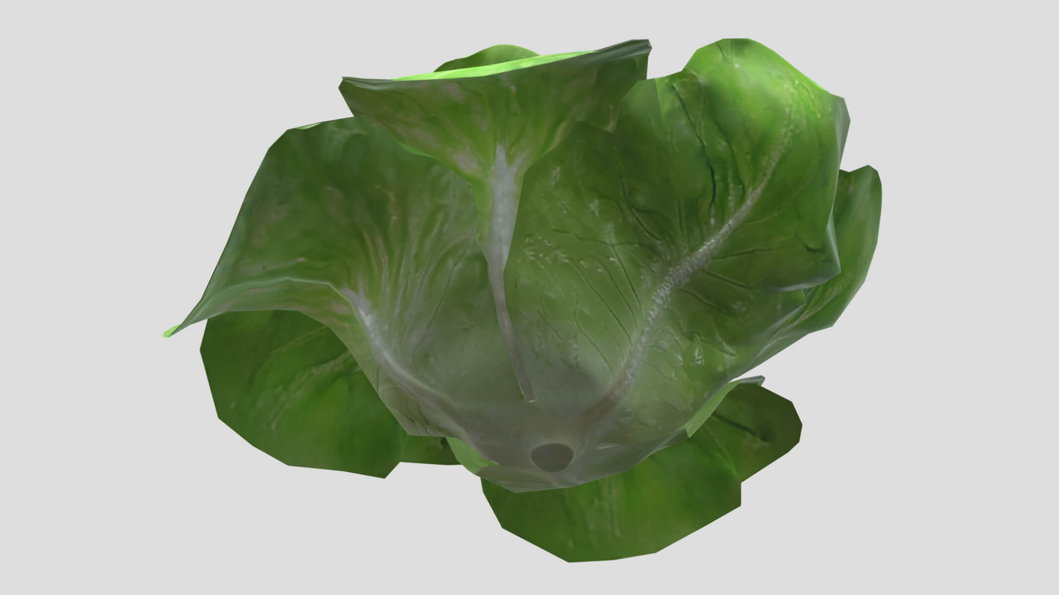 Lettuce Low Poly - 3D Model by frezzy