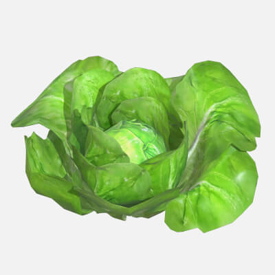 Lettuce Low Poly - 3D Model by frezzy