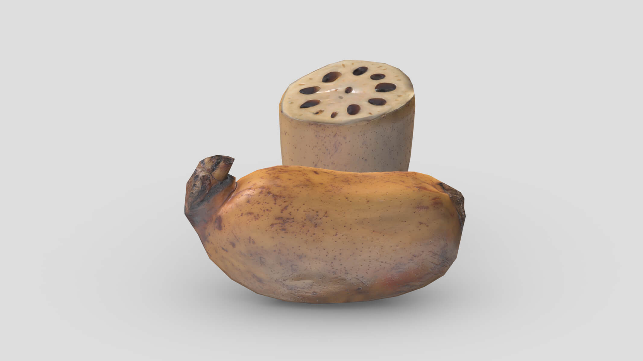 Lotus Root Low Poly - 3D Model by frezzy