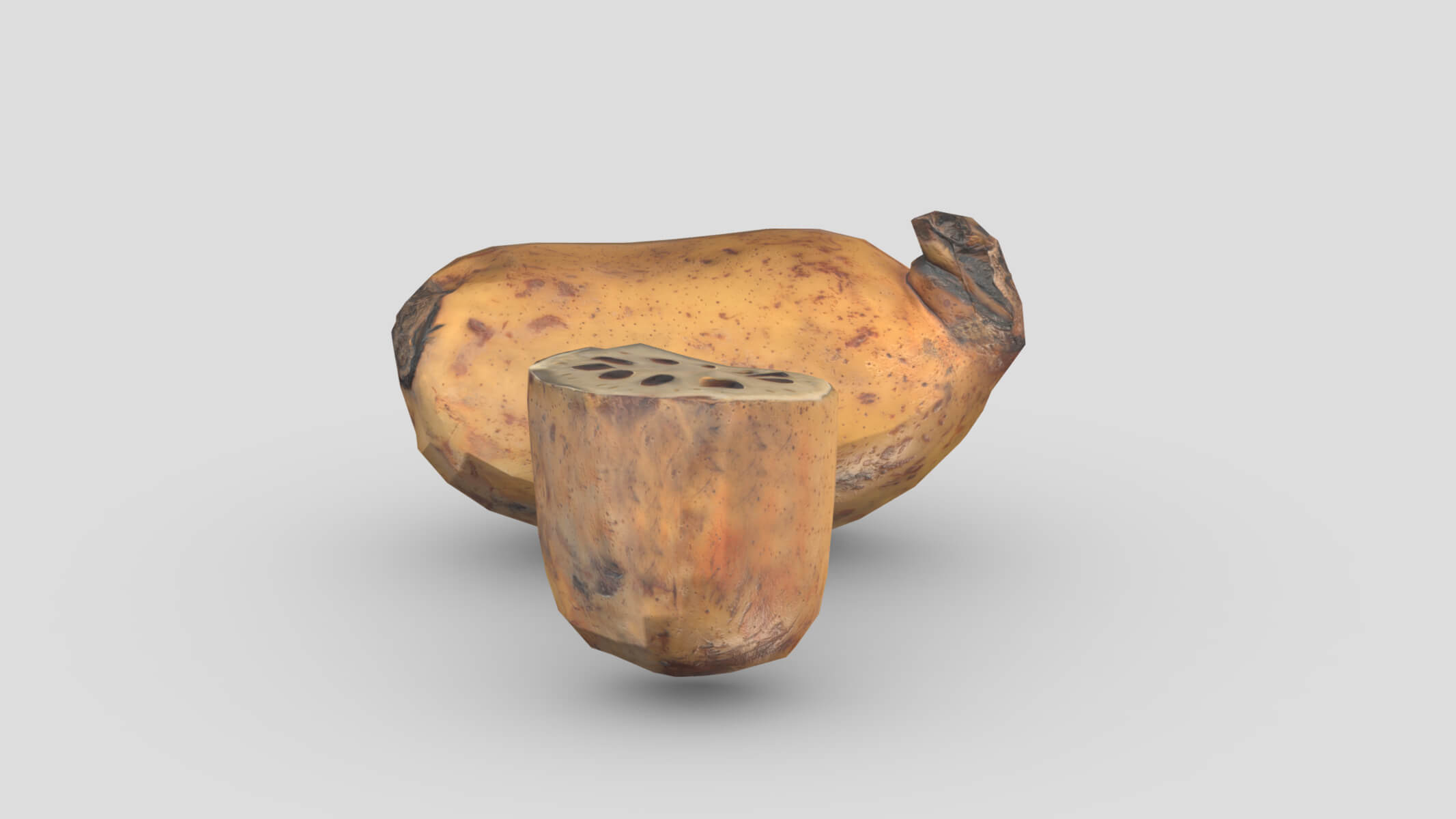 Lotus Root Low Poly - 3D Model by frezzy