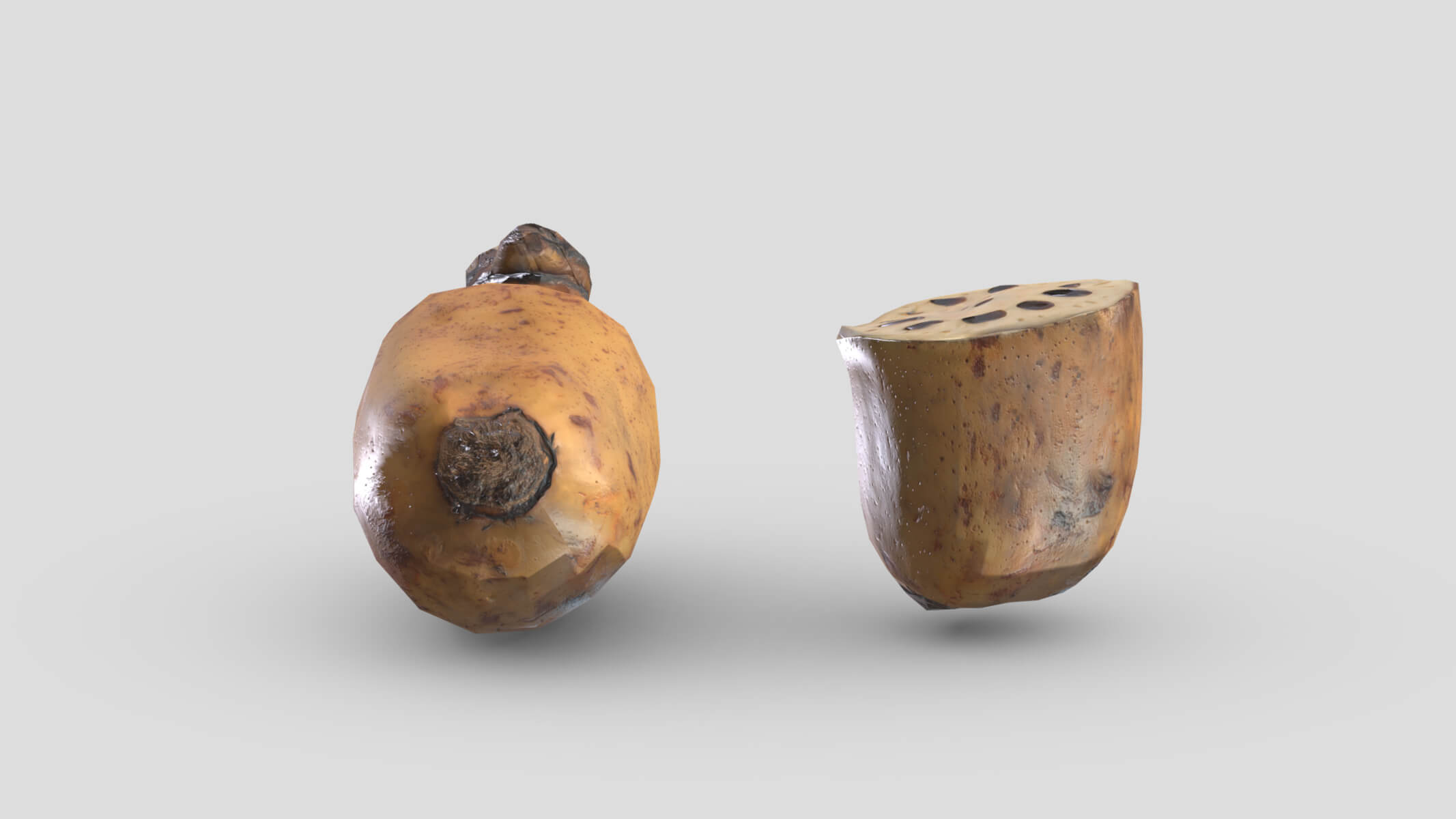 Lotus Root Low Poly - 3D Model by frezzy